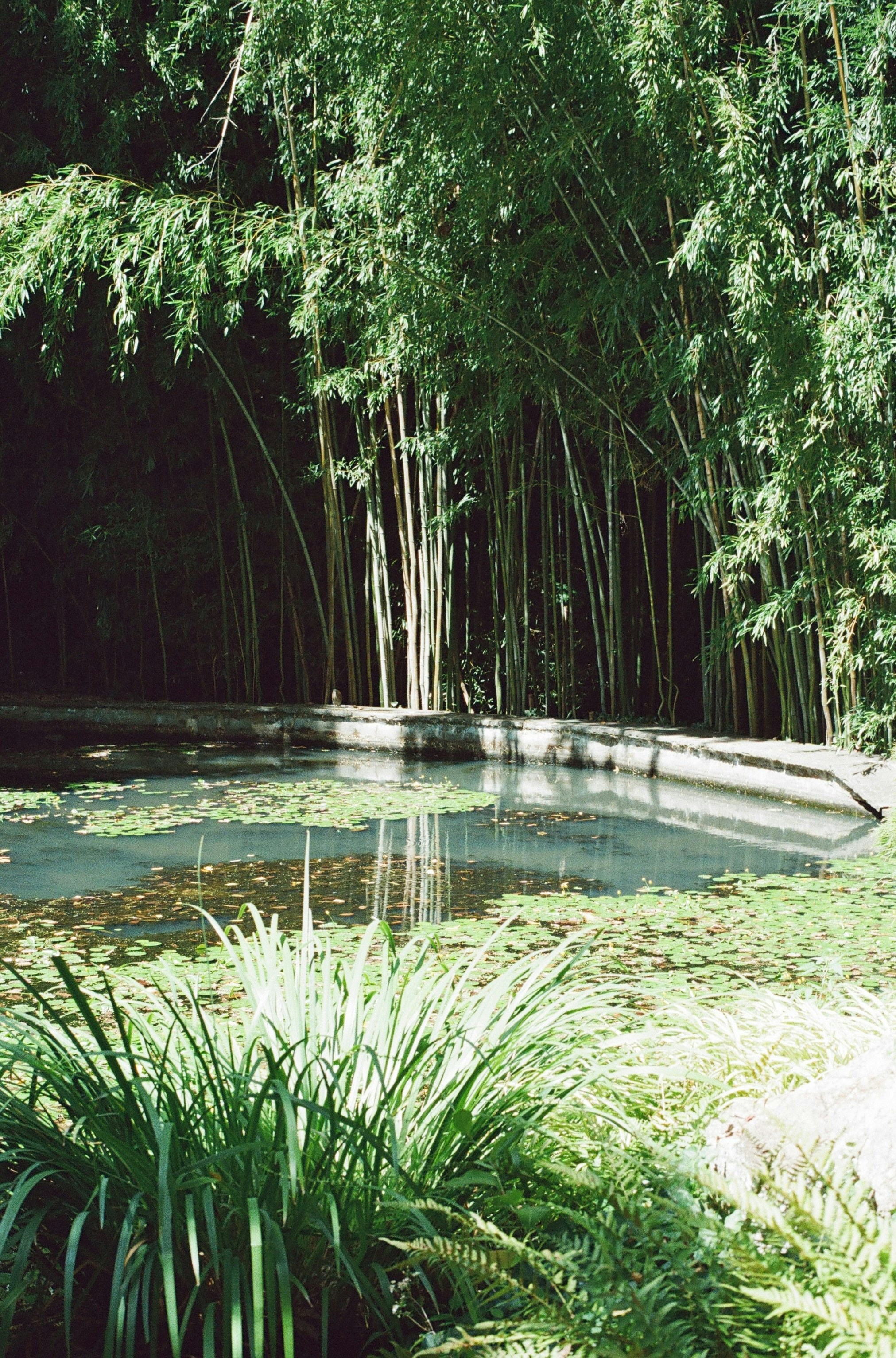 John P Humes Japanese Stroll Garden