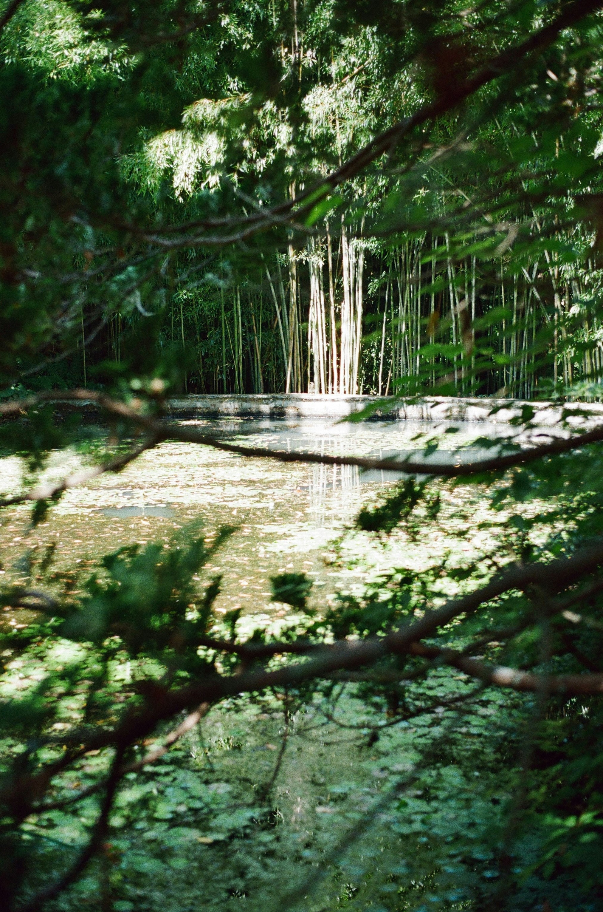 John P Humes Japanese Stroll Garden