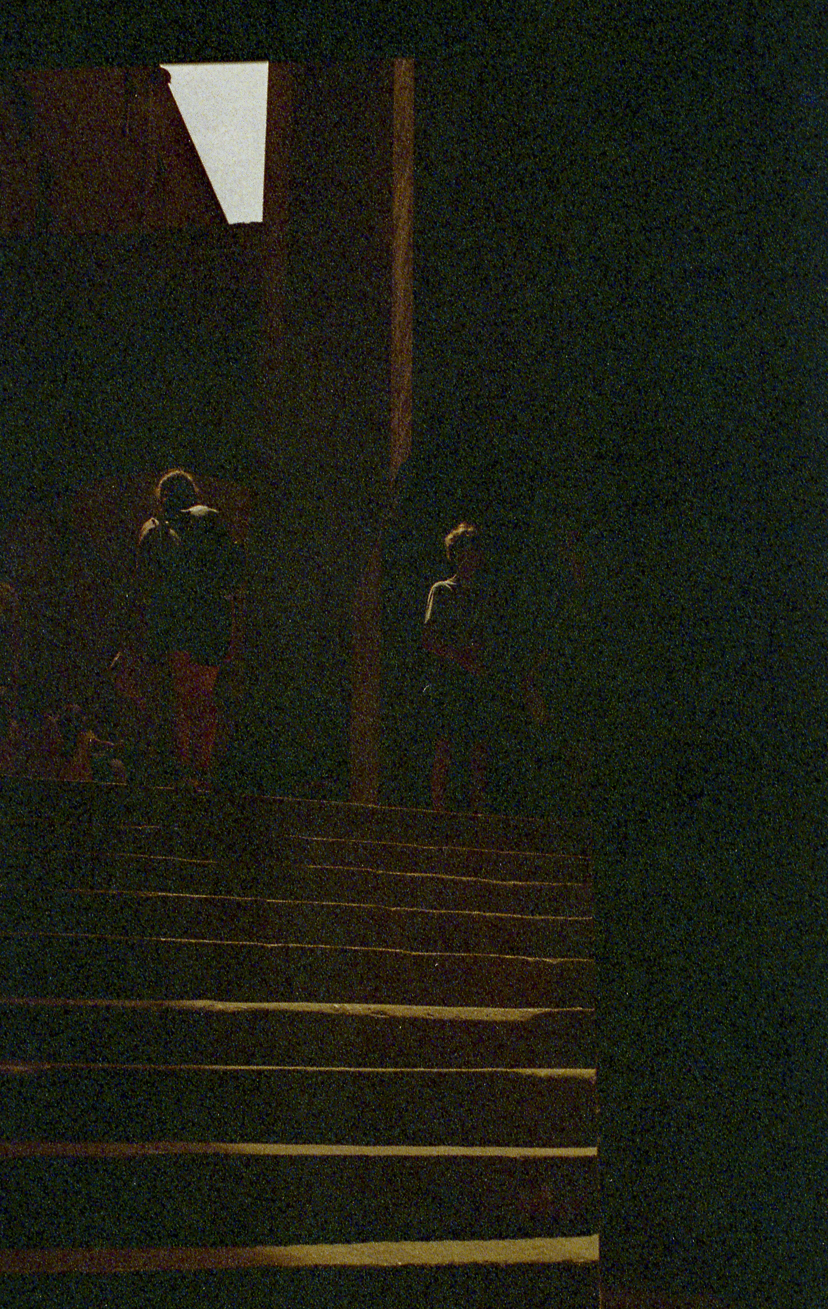 Two people stand on dark wooden stairs at night.