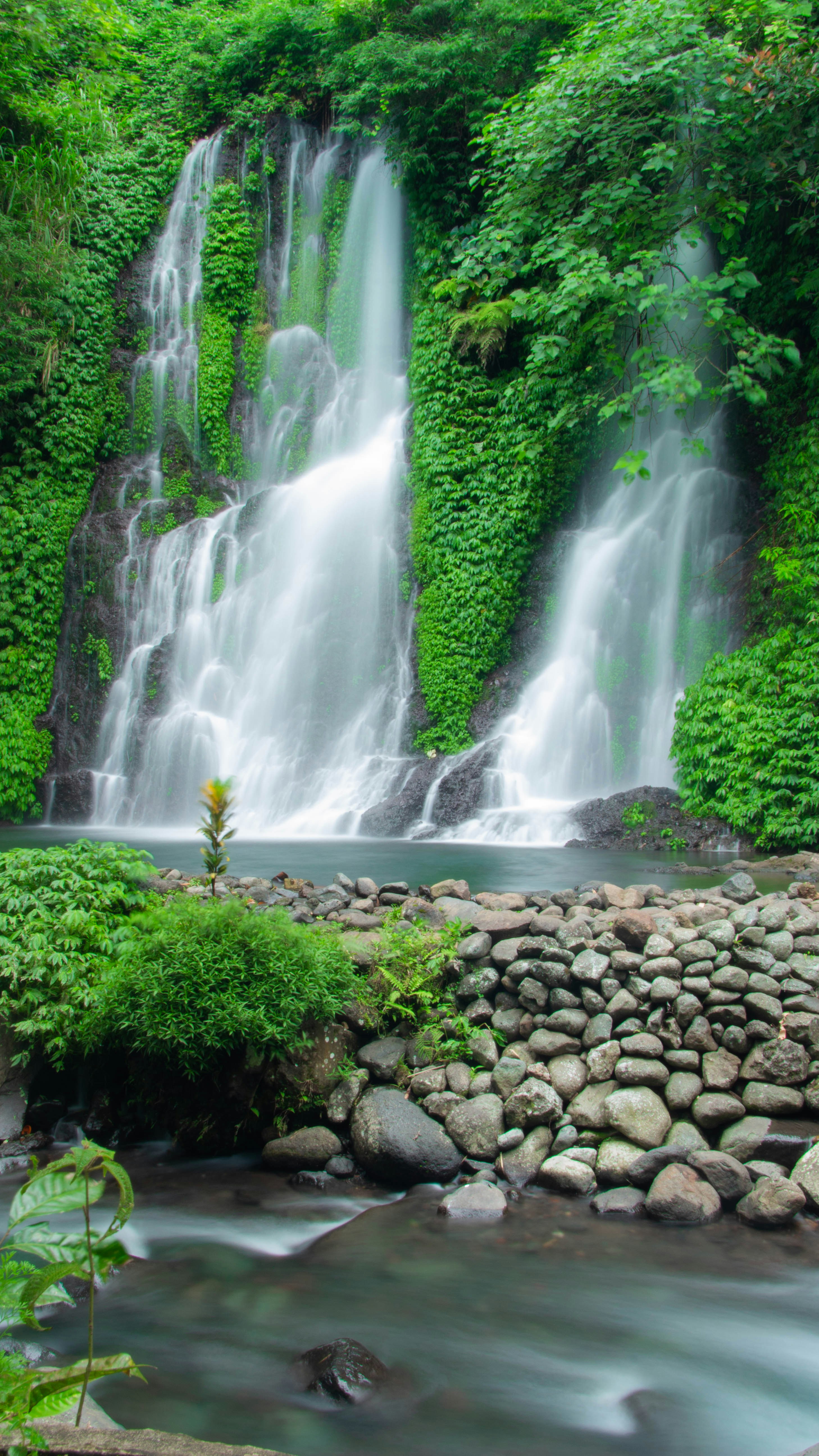 Verdant Cascade: A Curtain of Moss and Stone