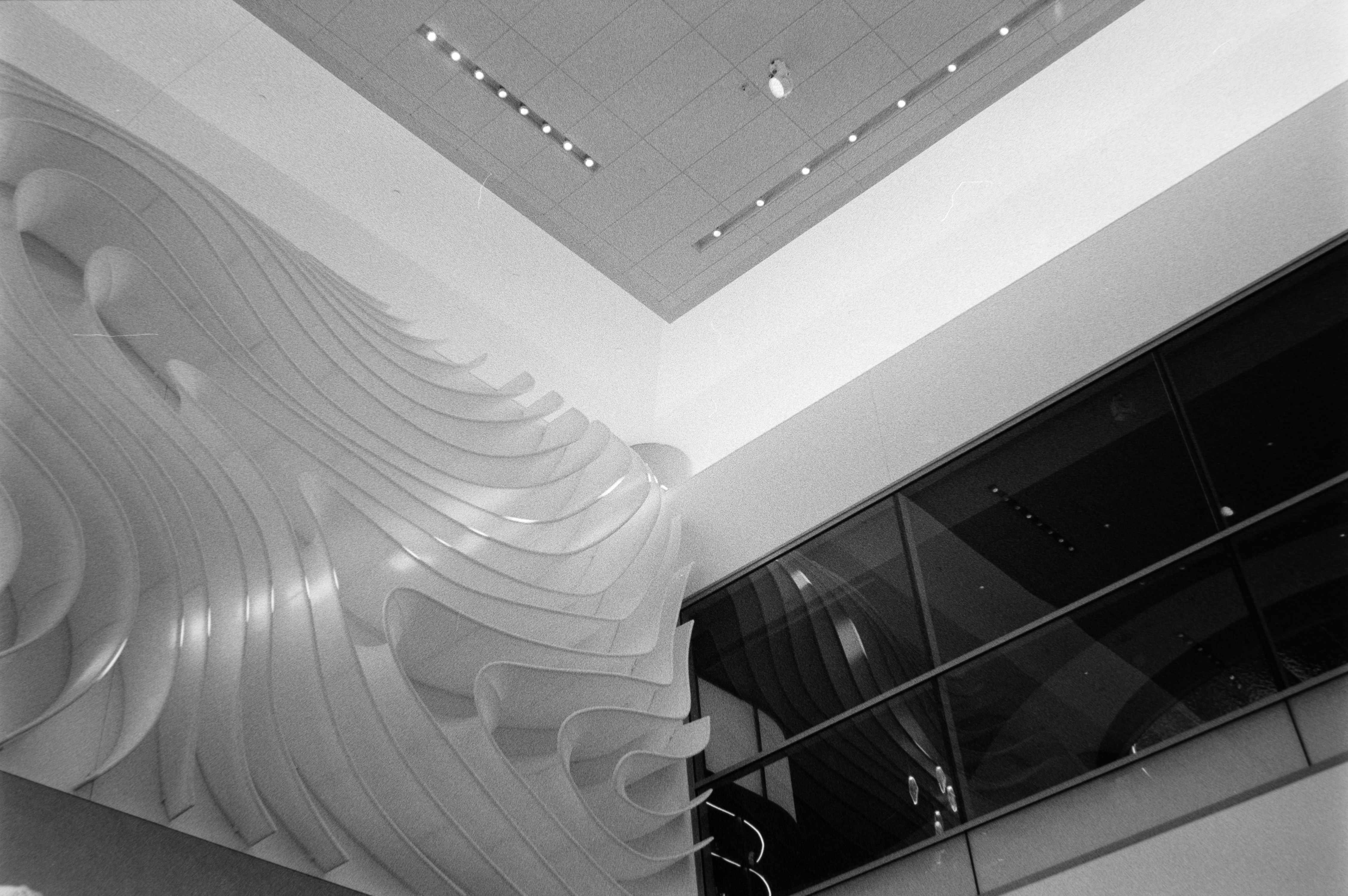 Architectural Echoes: Curved Facades Meet Modern Glass