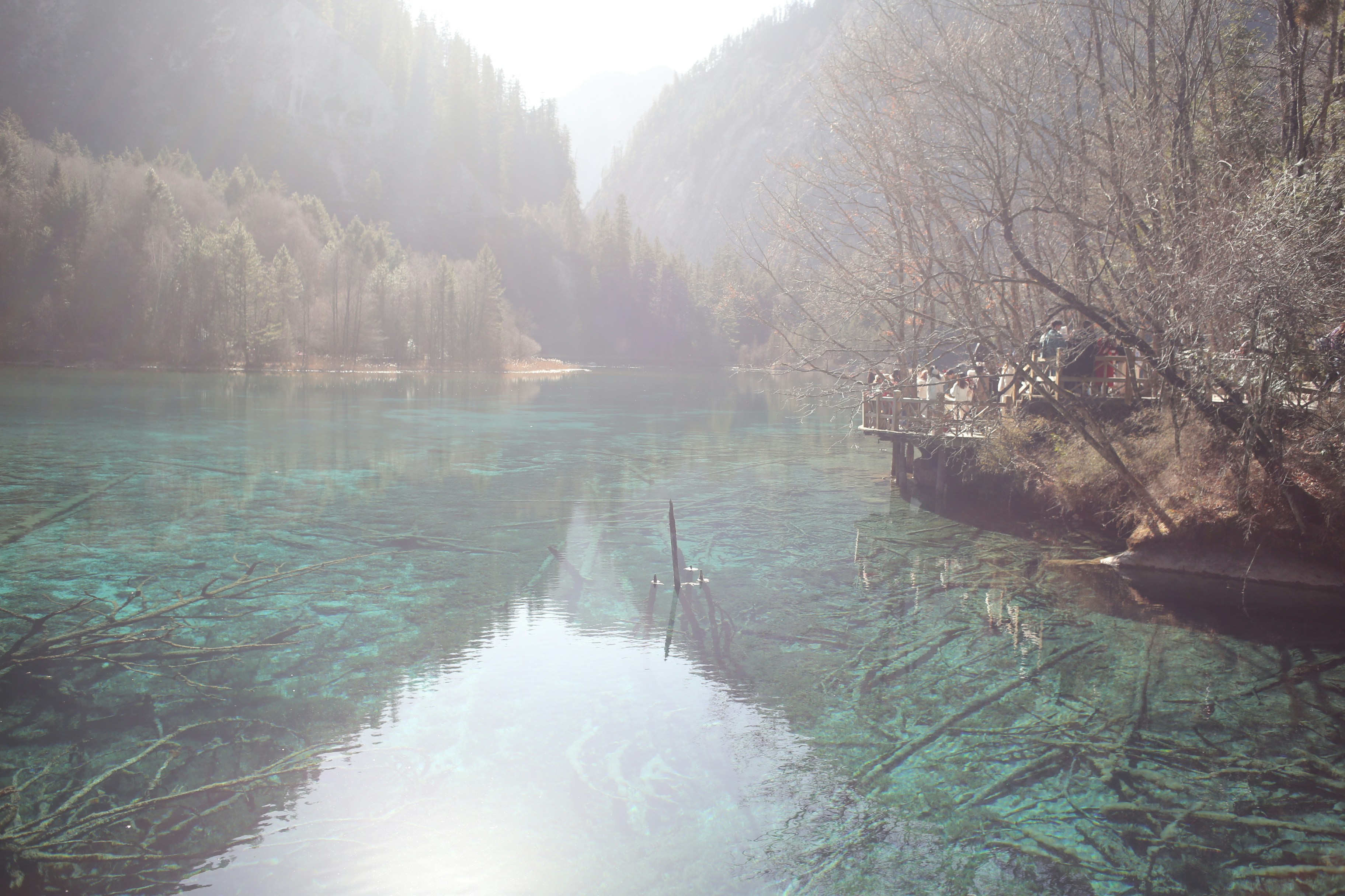 Emerald Lake at Dusk: Glassy Waters and Silhouetted Walkway