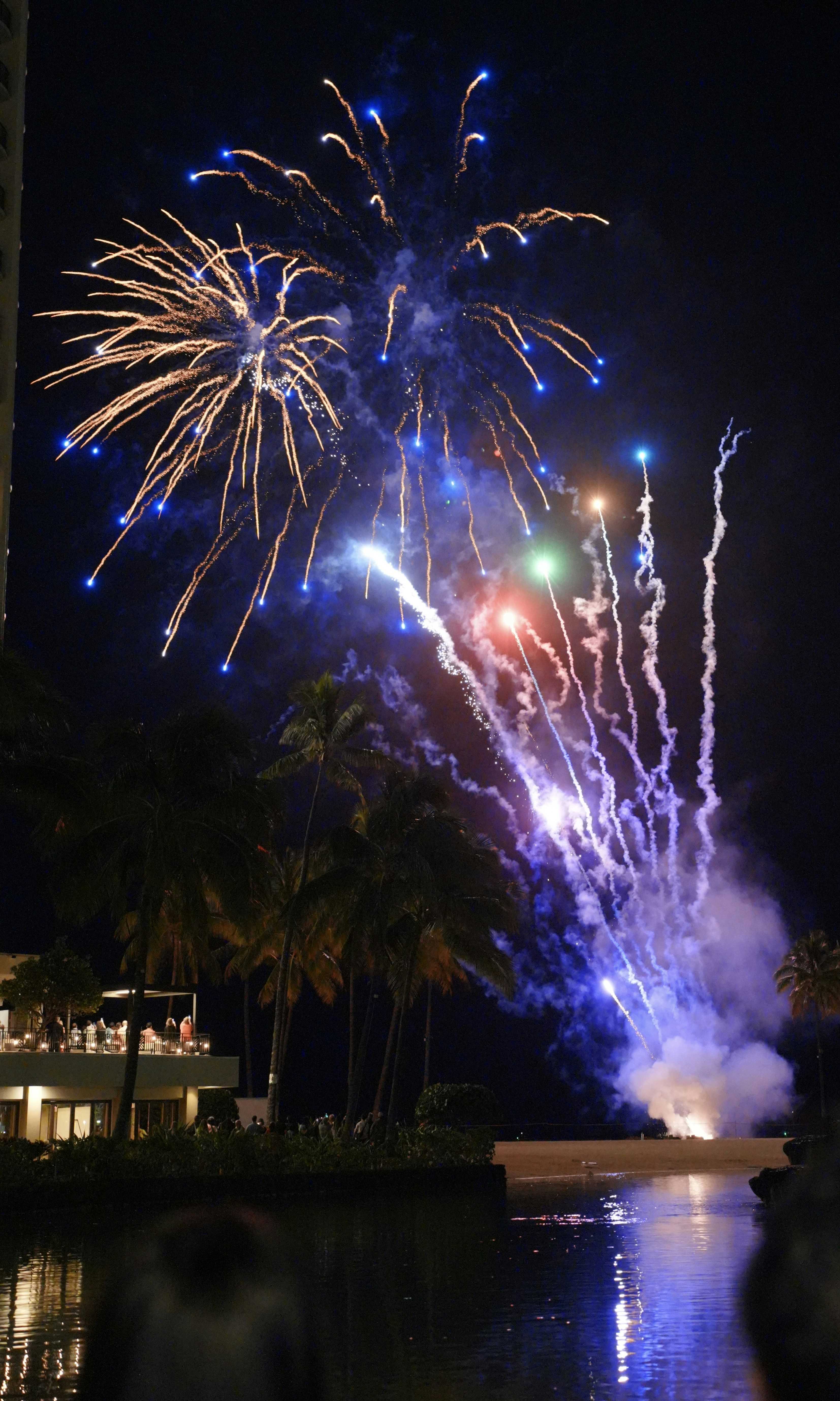 Night Skyburst Over Palm Mirage
