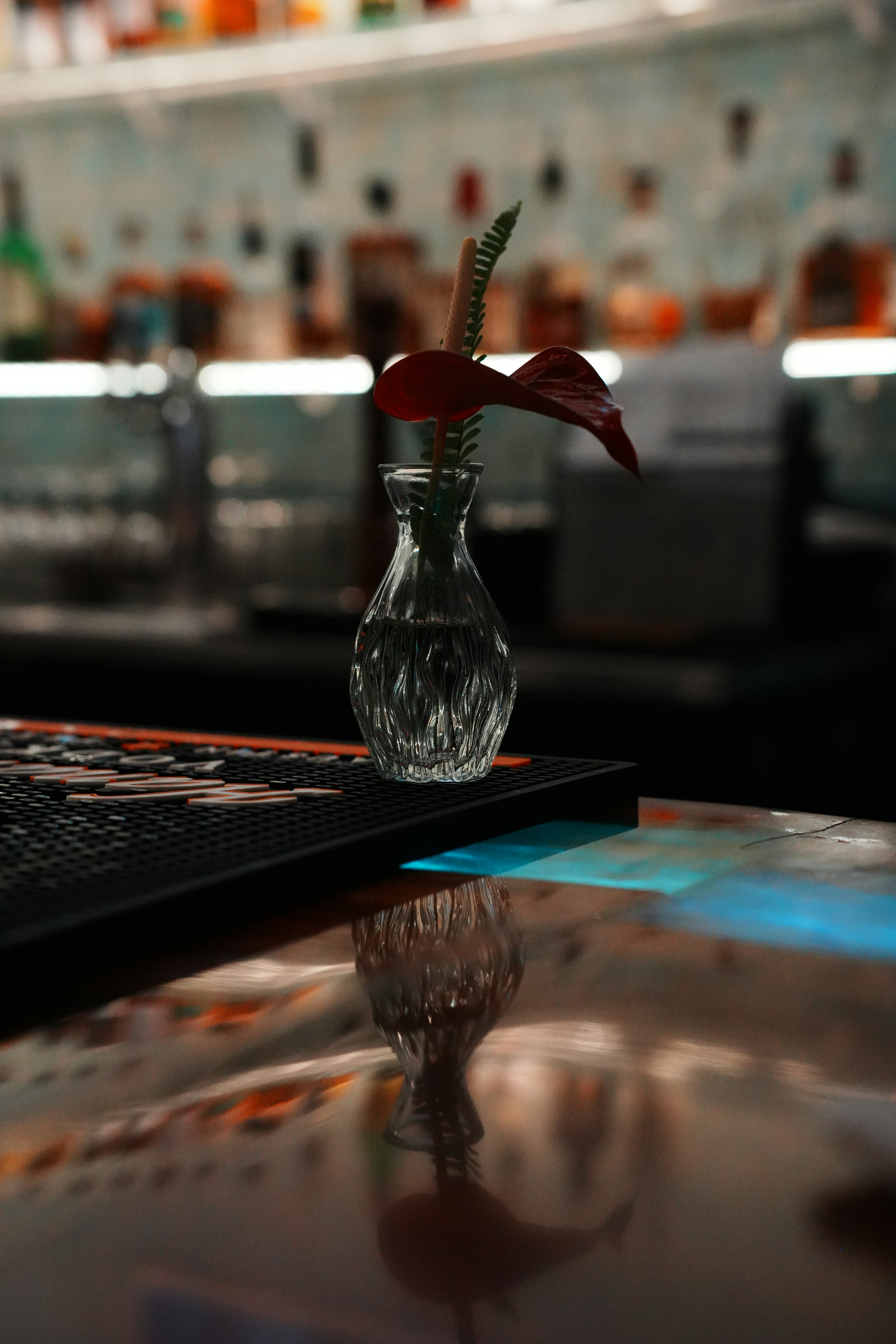 Solitary Vial: A Fern and a Bloom in a Rooftop Bar