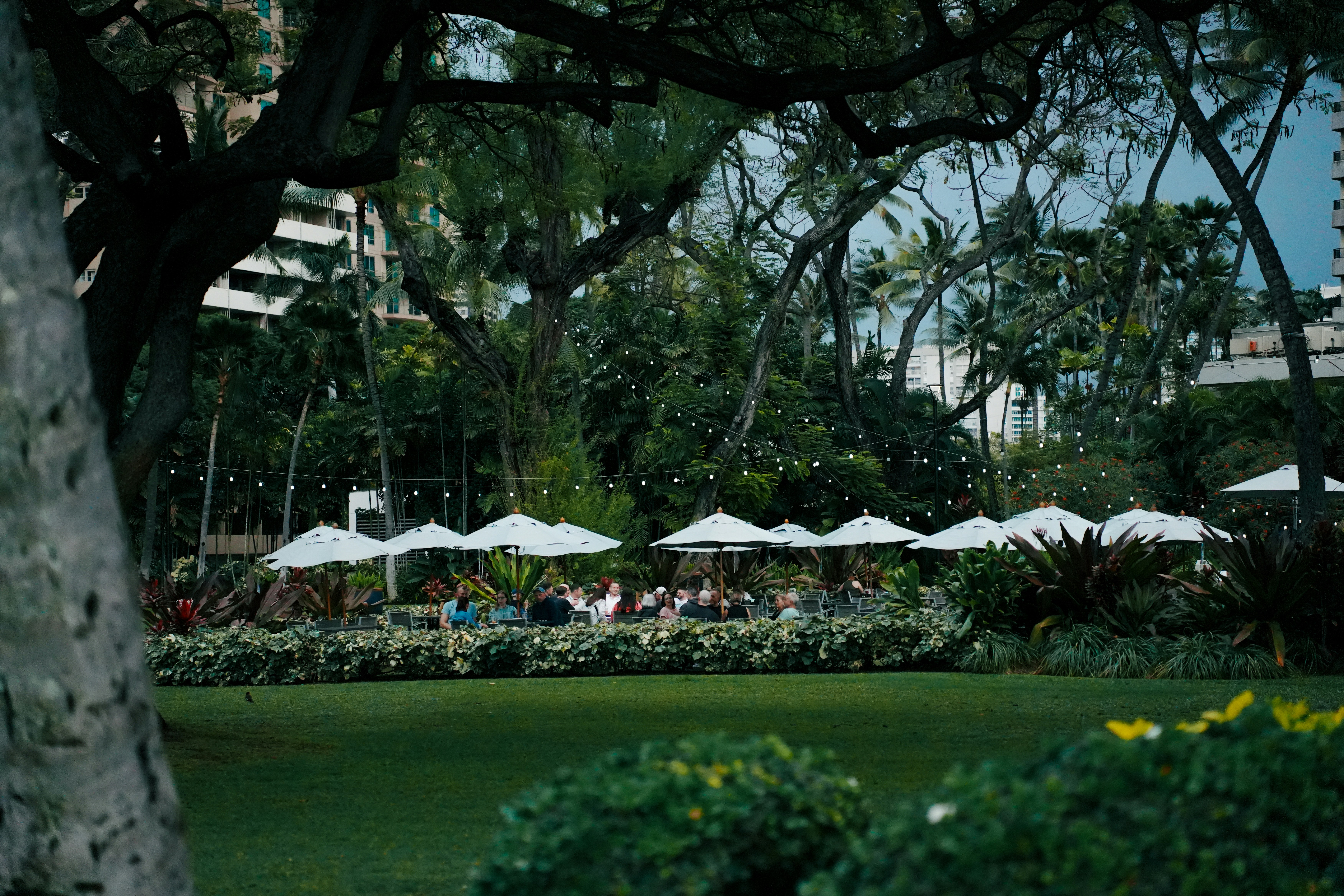 Fringed Lawn Moments Under White Canopies
