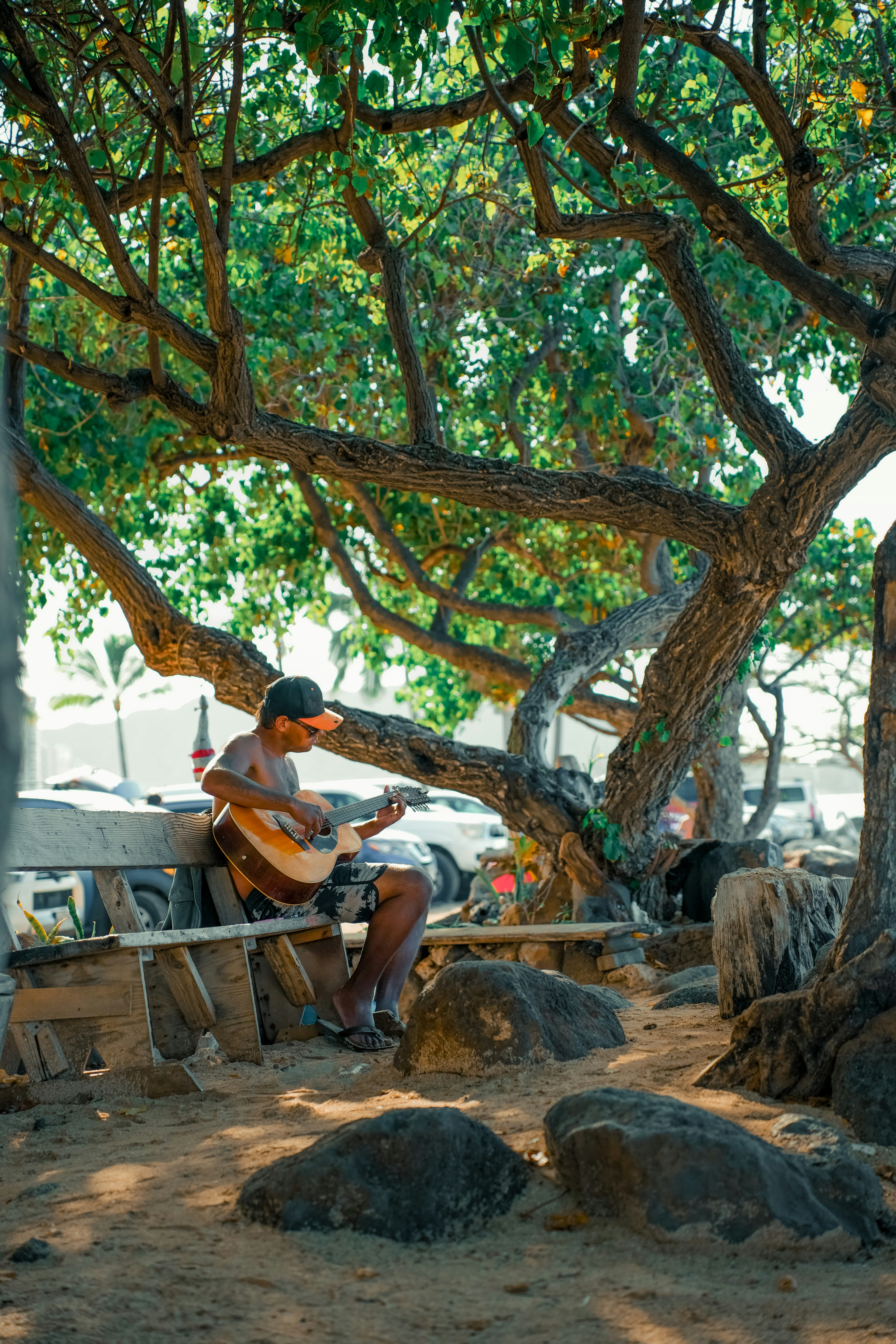 Guitar Serenade Under a Canopy of Green