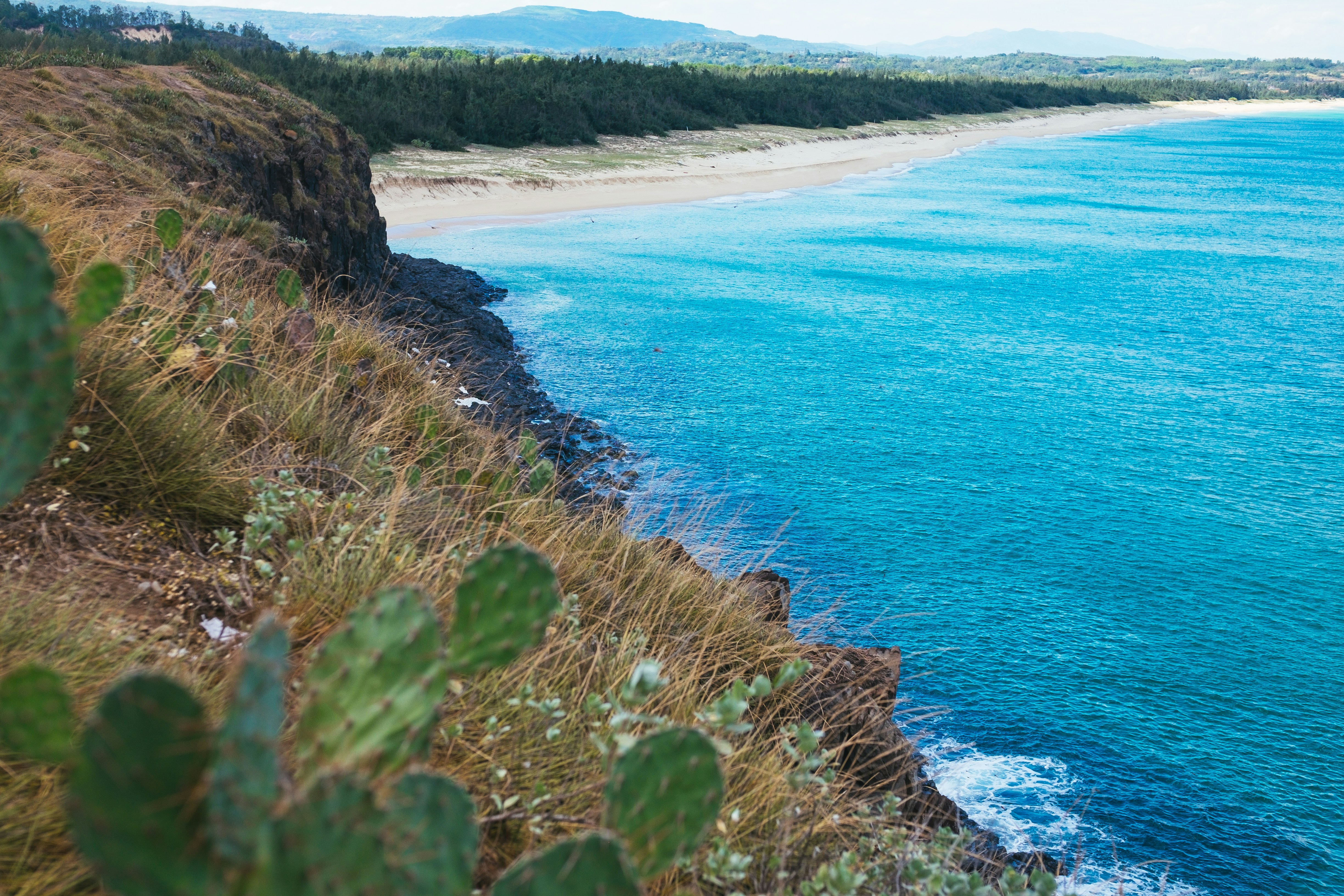 Cliffside Vista: Azure Sea Meeting a Quiet Shore