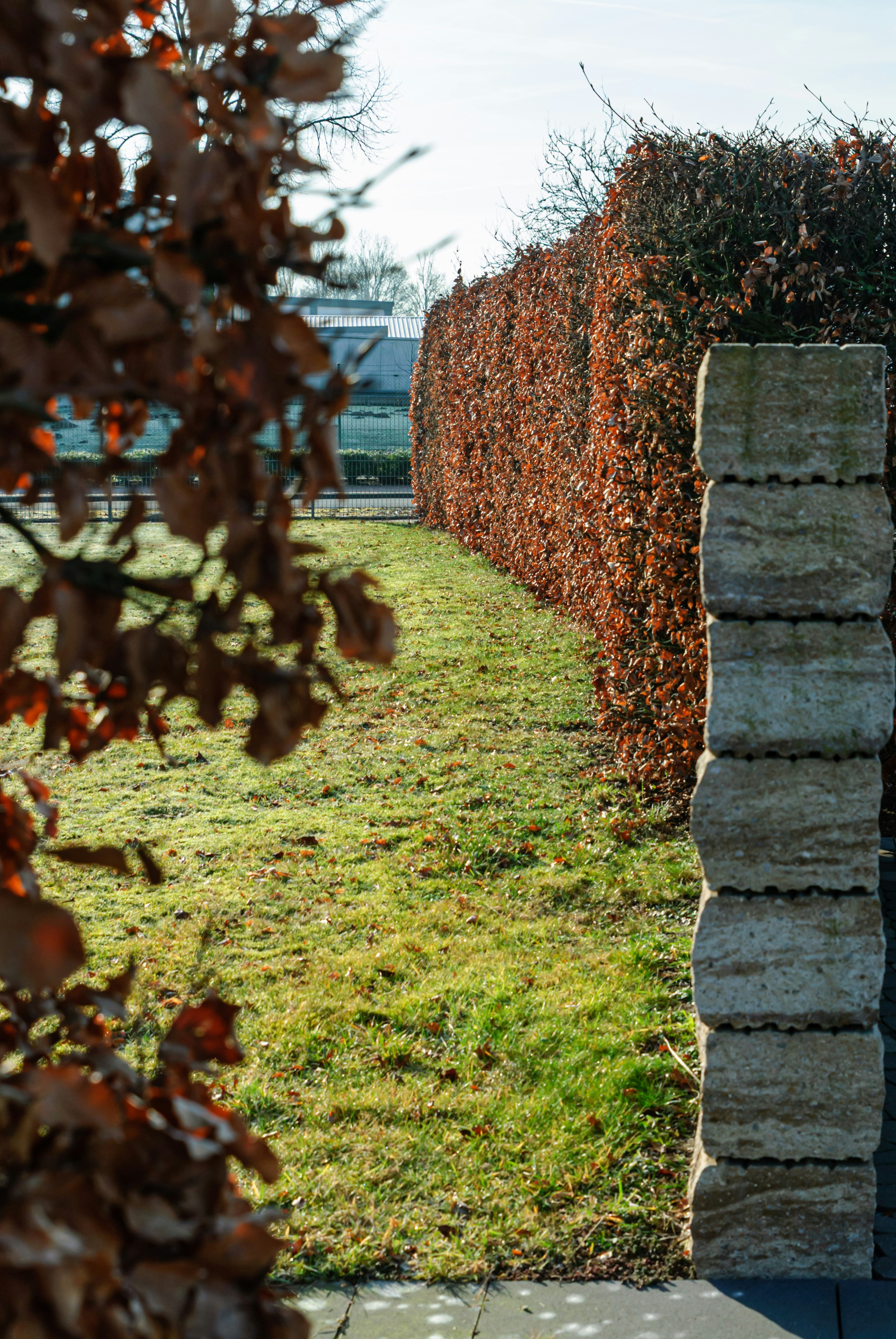 Hedge Corridor Framed by Weathered Stone Tower