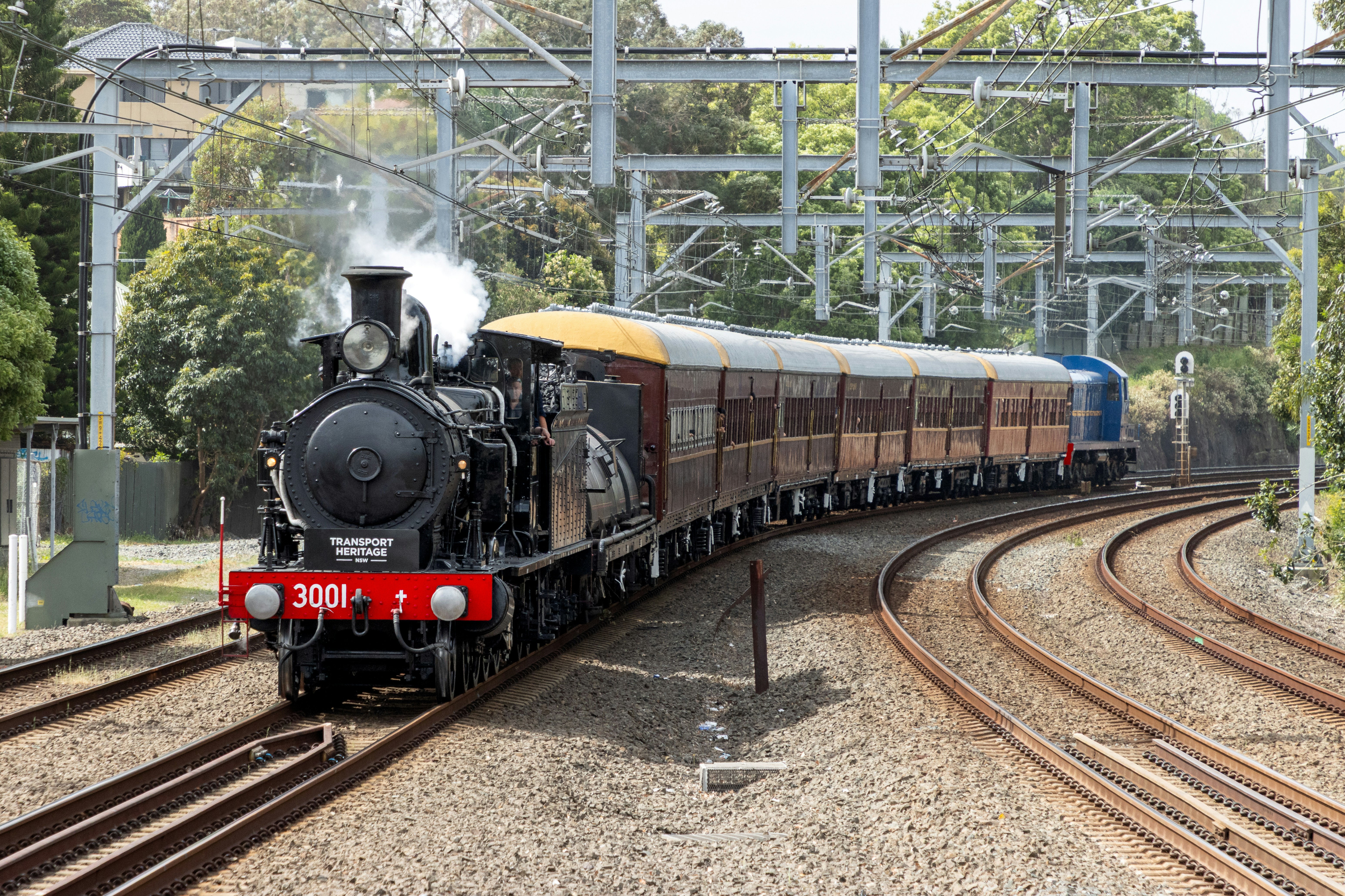 Steam Locomotive in Motion: A Heritage Train Winding Through Rails