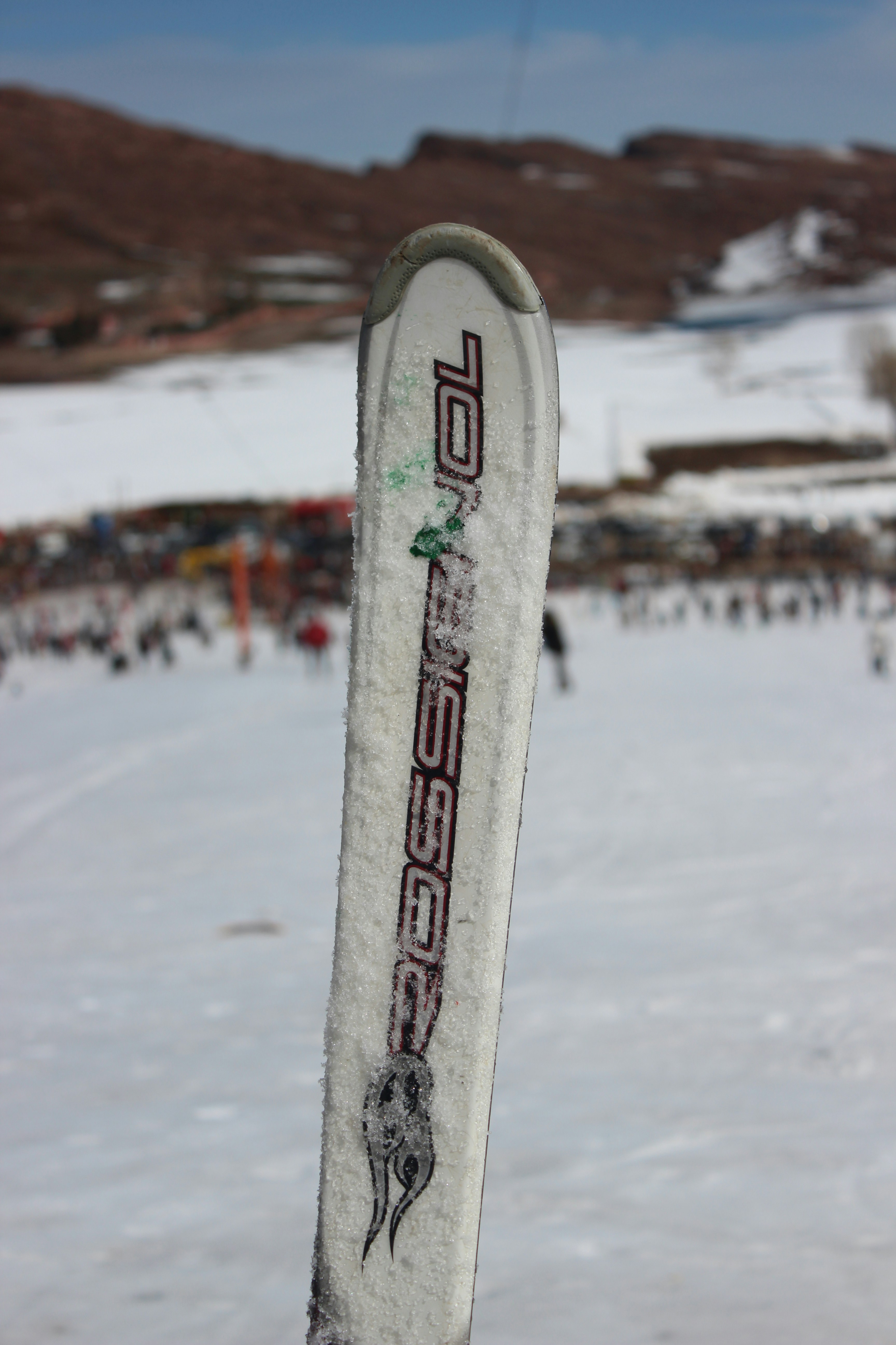 Snowbound Polar Star: A Ski Pole Emerging from the Quiet Slopes