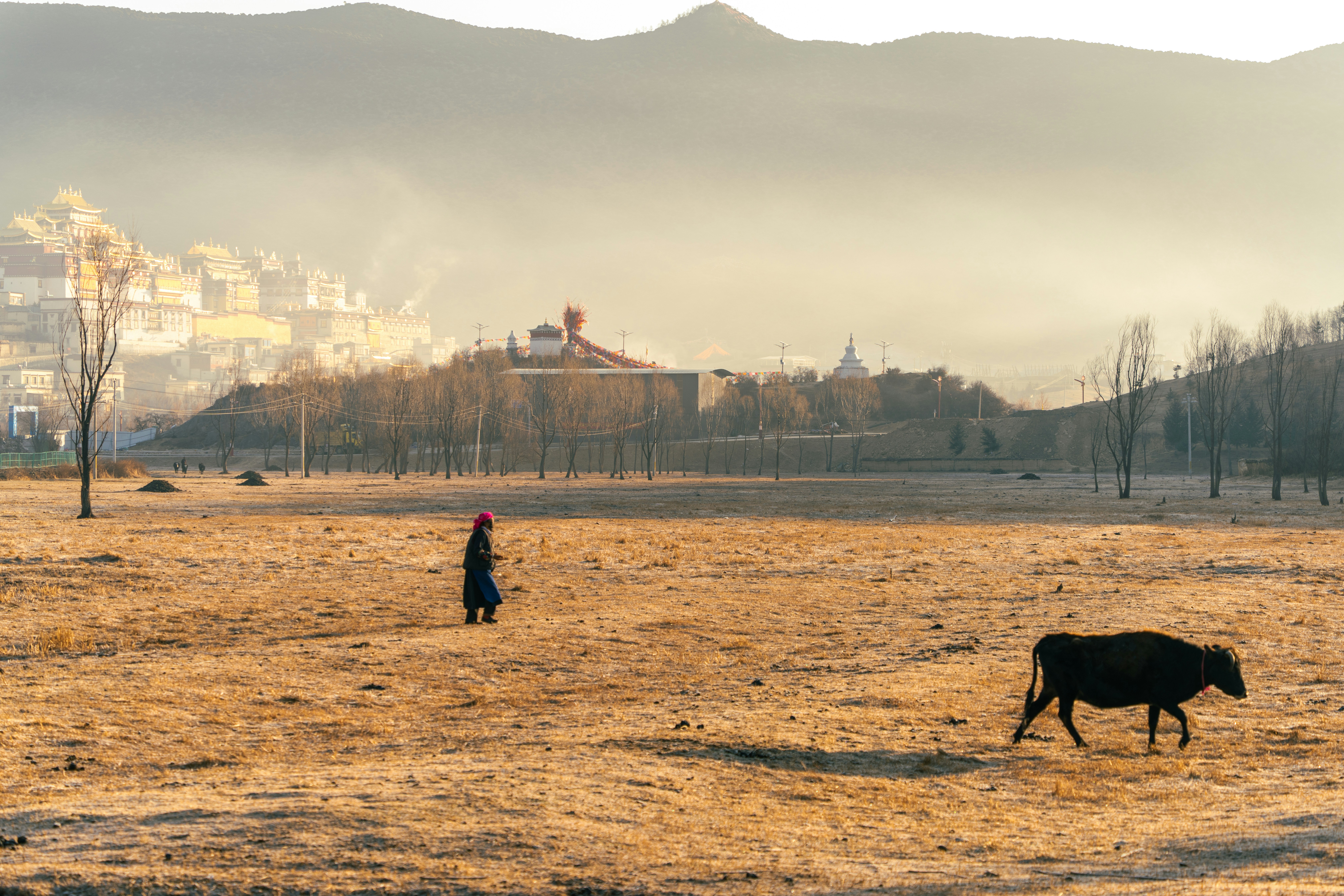 Lonely Keeper in a Dusty Field Under Distant Hills