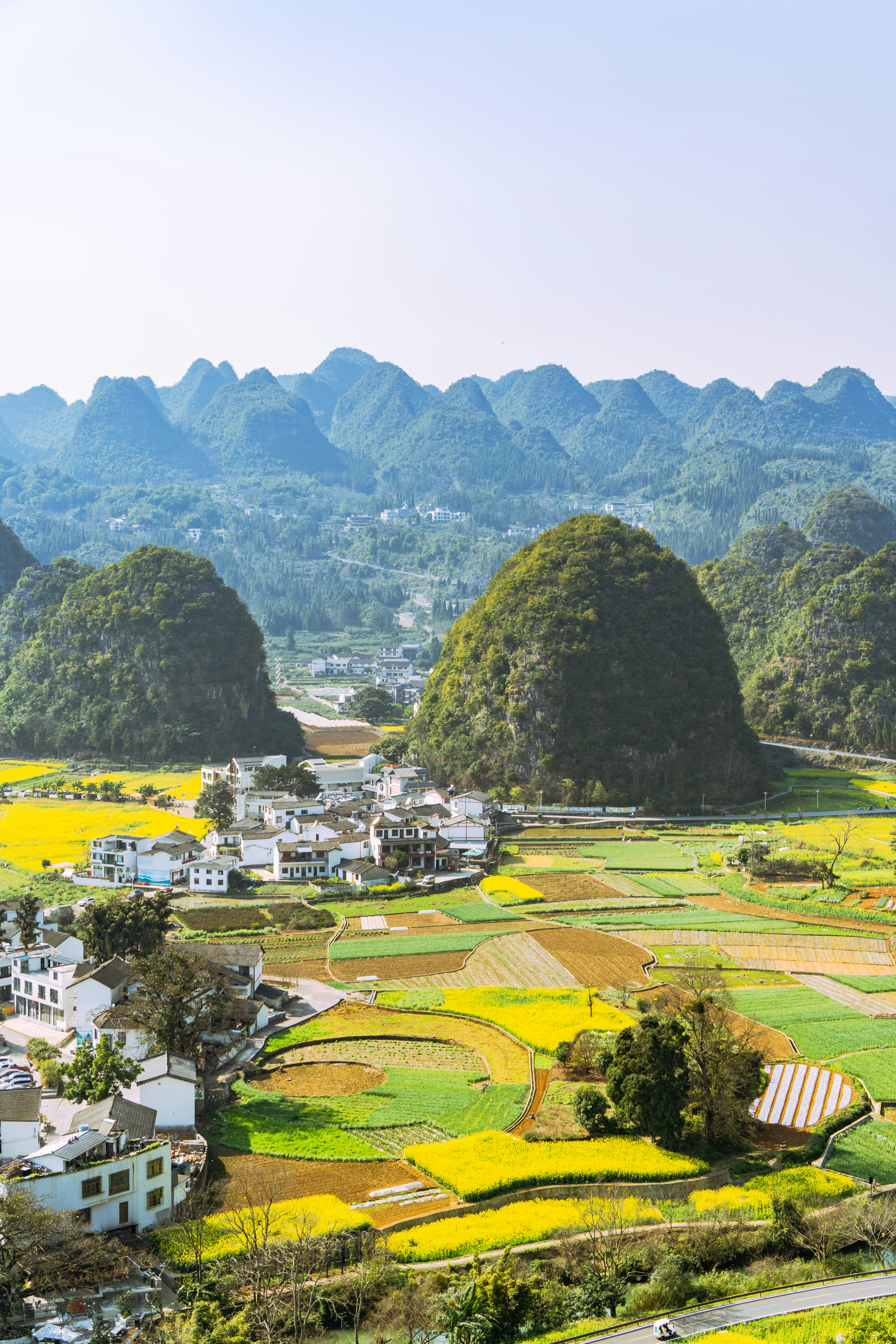 Golden Fields Between Porcelain Peaks