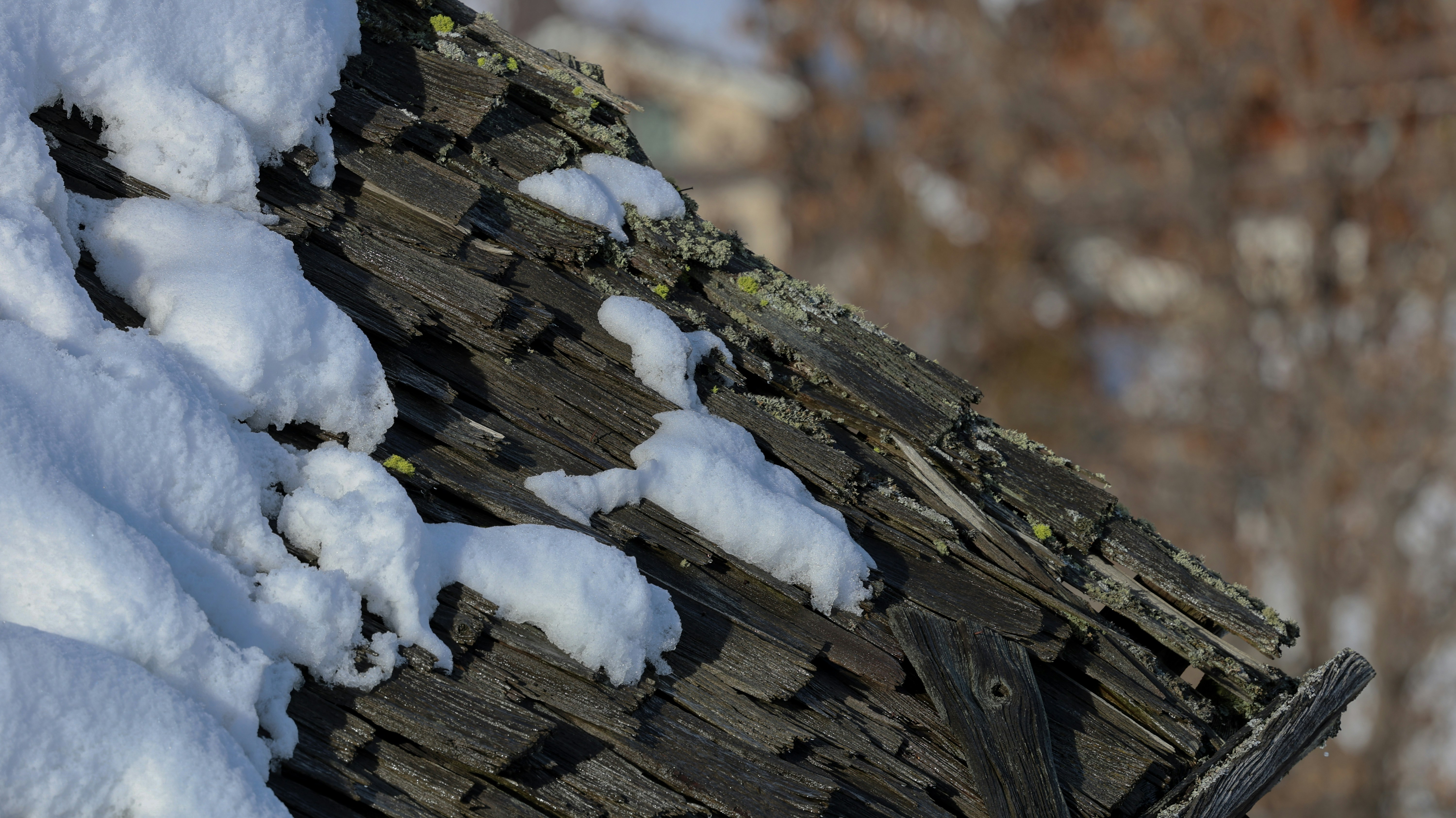 Weathered Wood and Snow: Texture Meeting Time