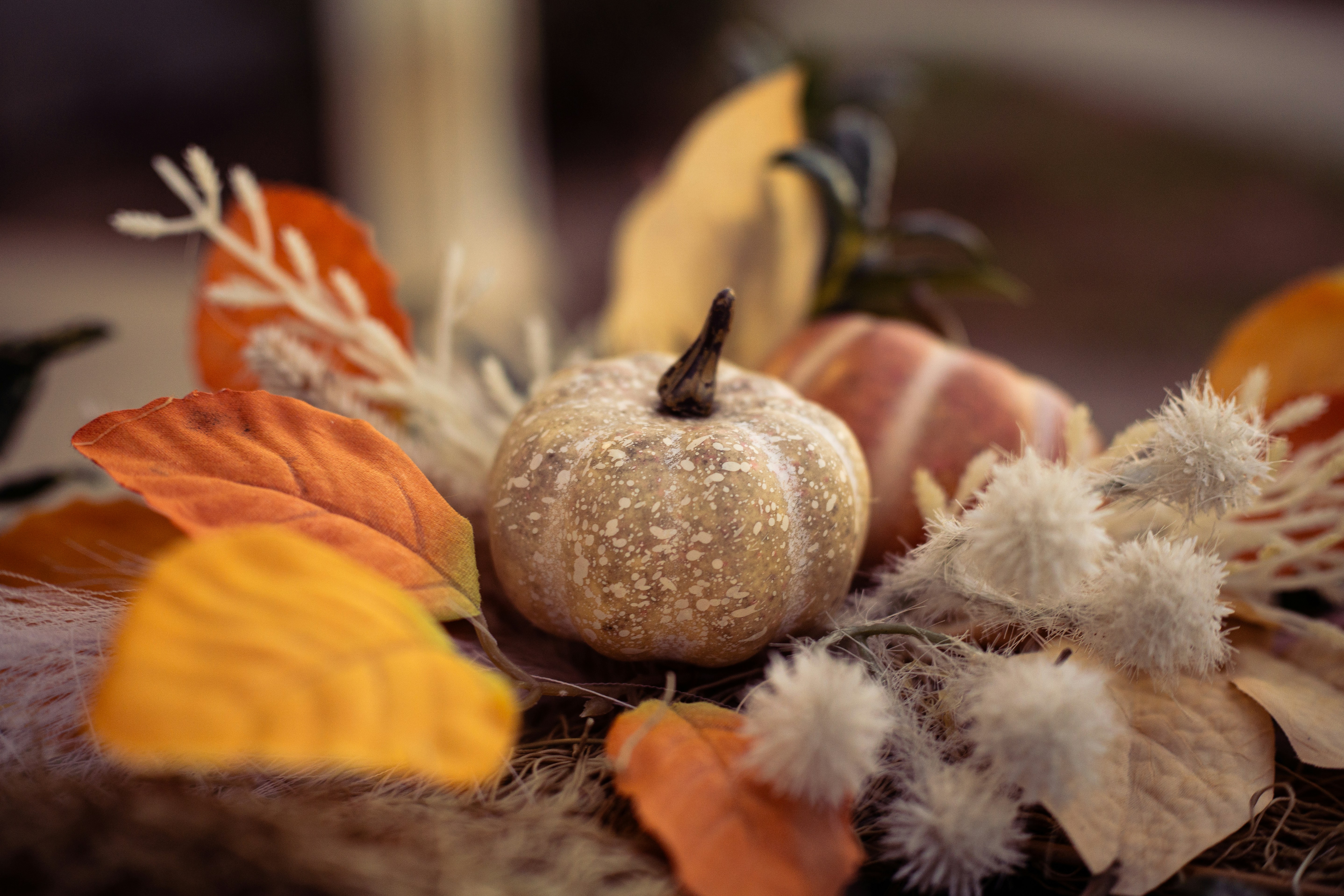 Autumn Miniature Pumpkin Nest