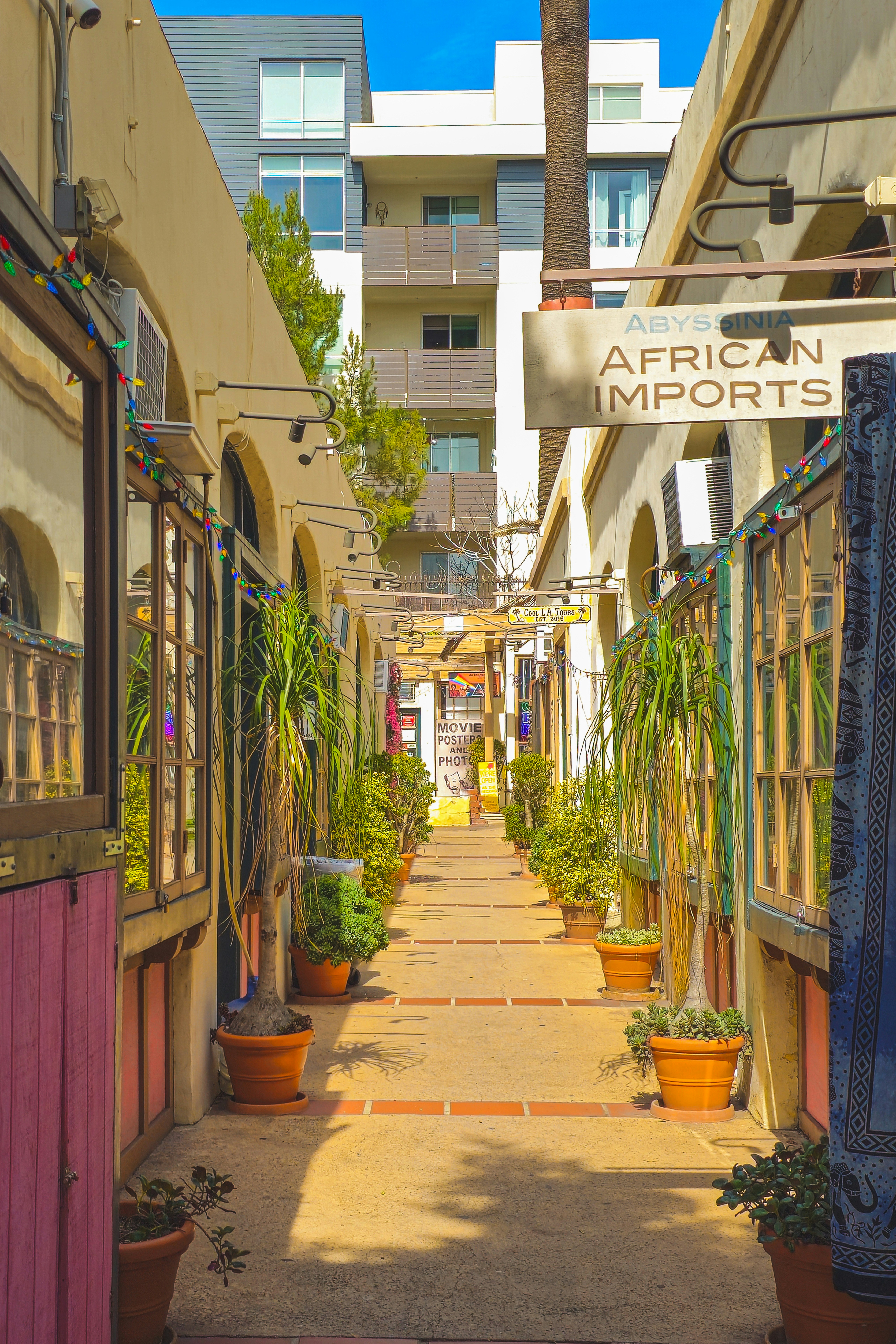 Sunlit CA Courtyard Corridor lined with Potted Plants