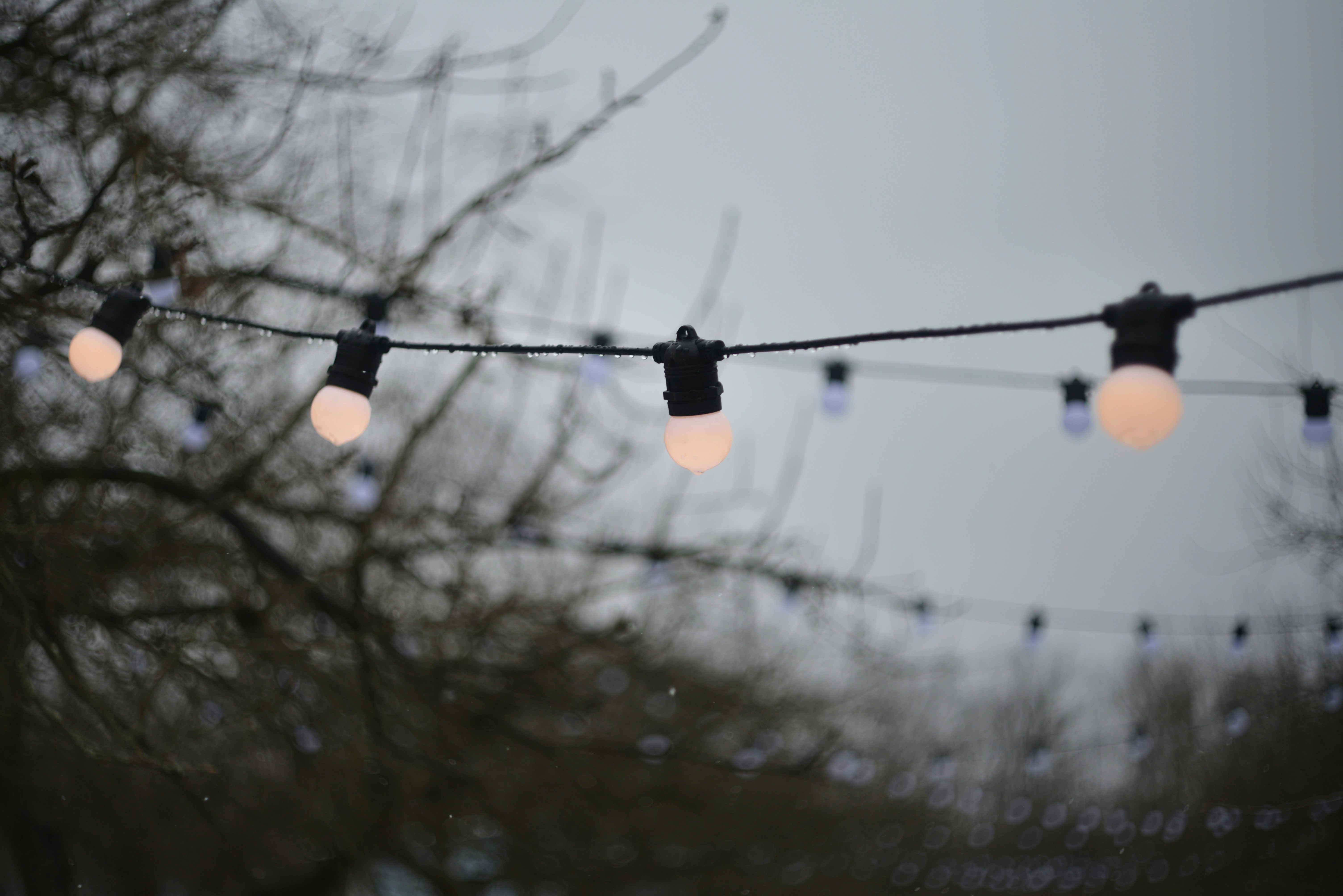 Soft Globe Lights Suspended Across a Winter Evening