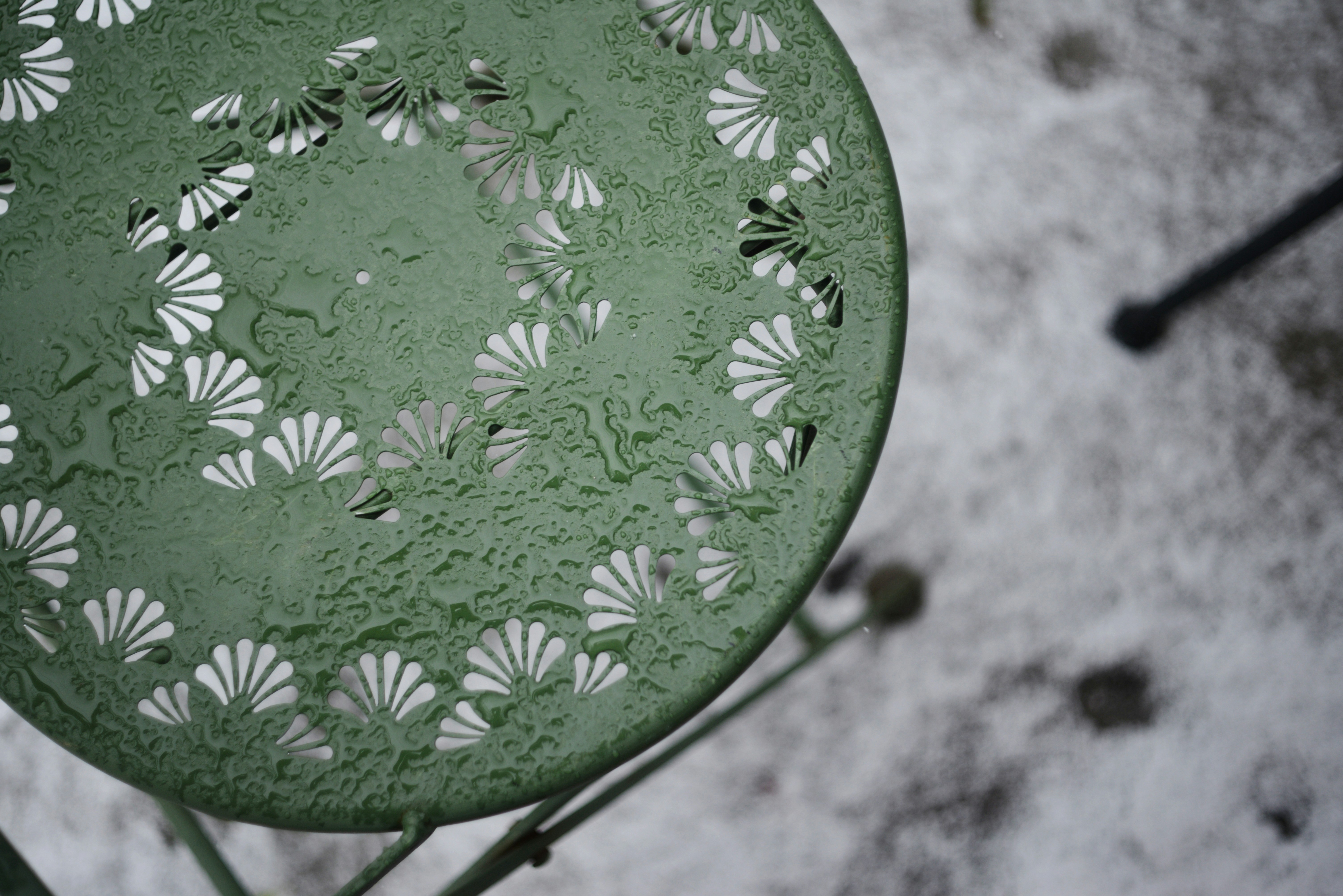 Dew-dusted green floral tabletop seen from above