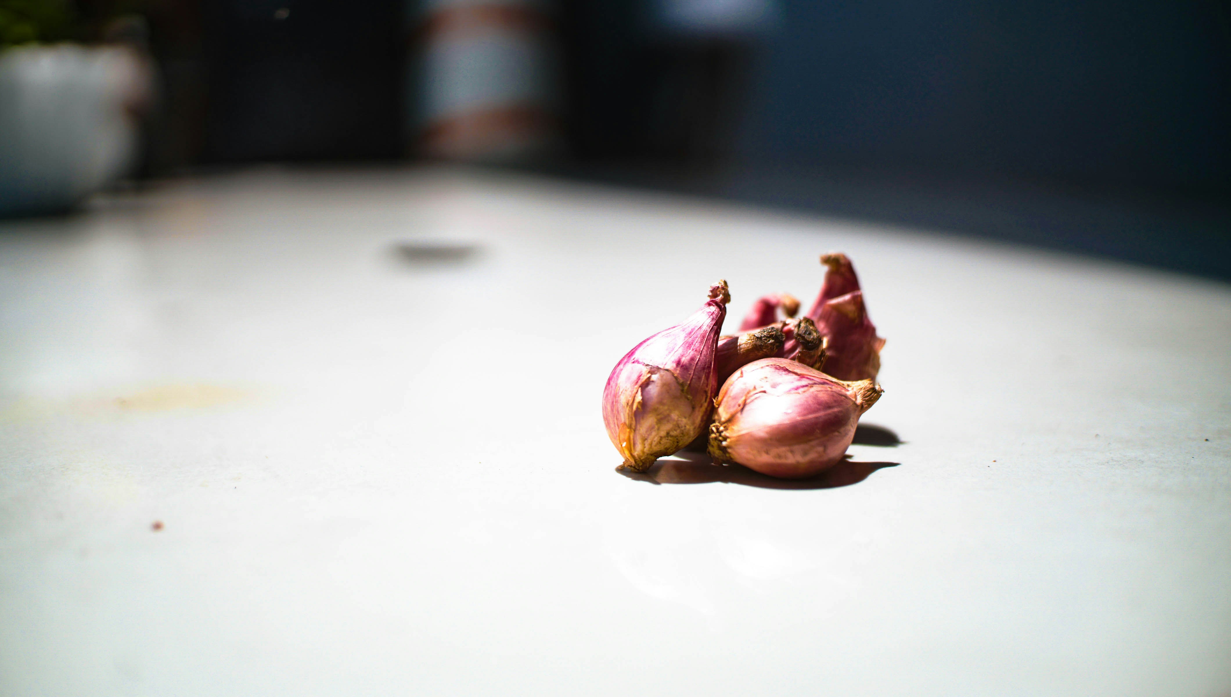 A Tiny Onion Fragment Recounting a Quiet Moment on a Sunlit Table