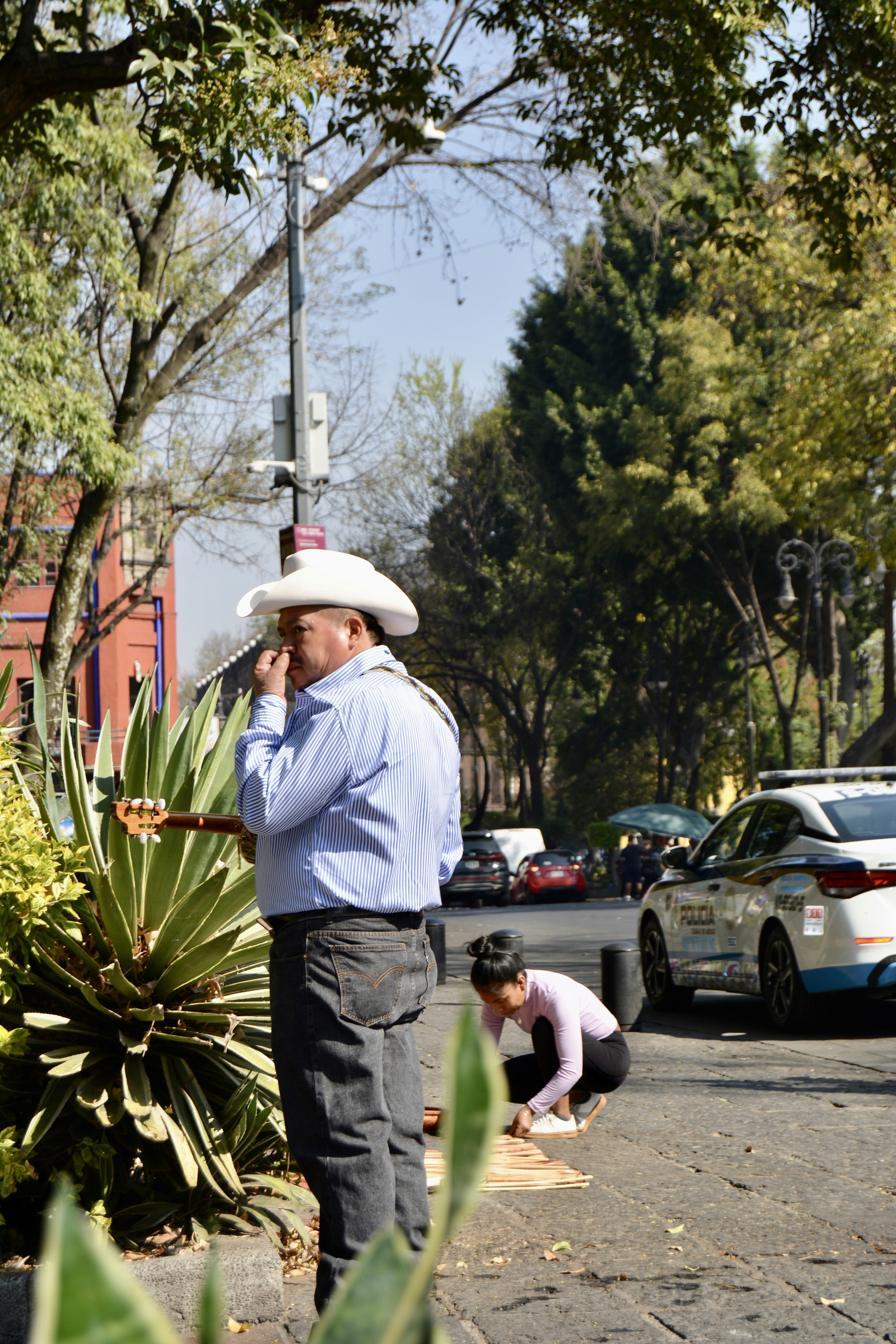 Street Musicians in a Sunlit Park: A Cowboy’s Moment