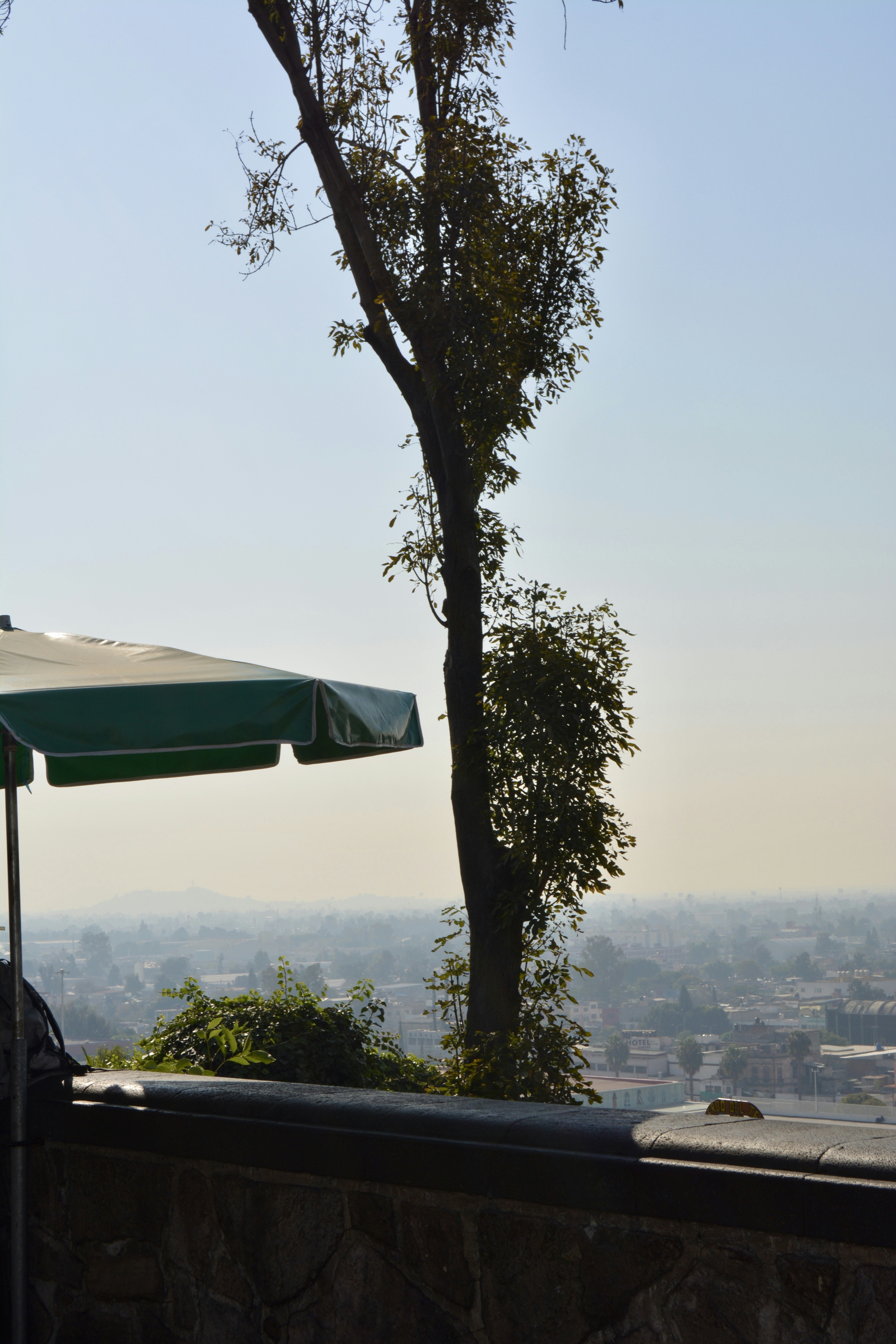 Sunlit Terrace Overlook: Tree, Umbrella, and Distant Cityscape