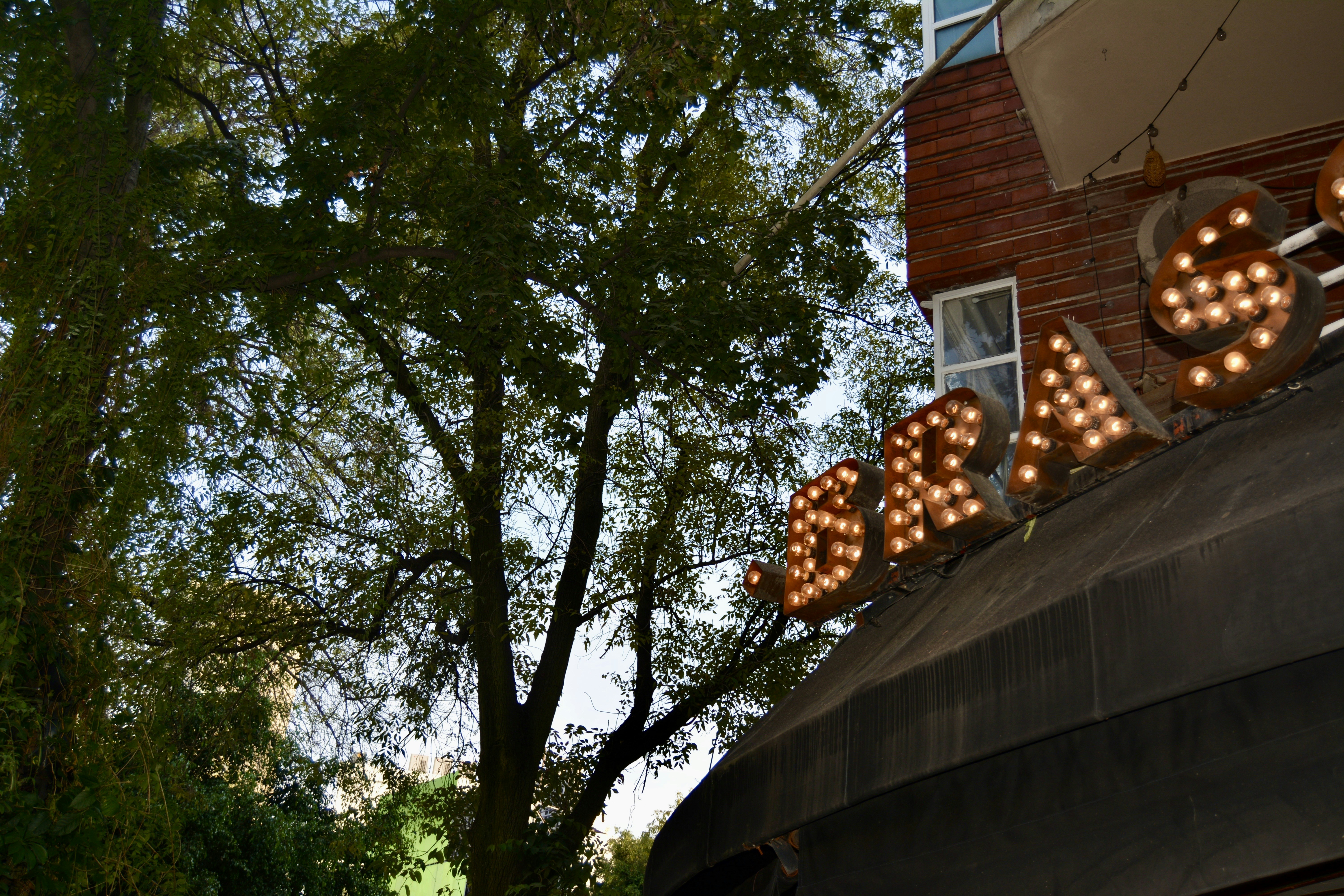 Neon Sign Sunset: A Corner Cut of Outdoor Neon in the Urban Shade