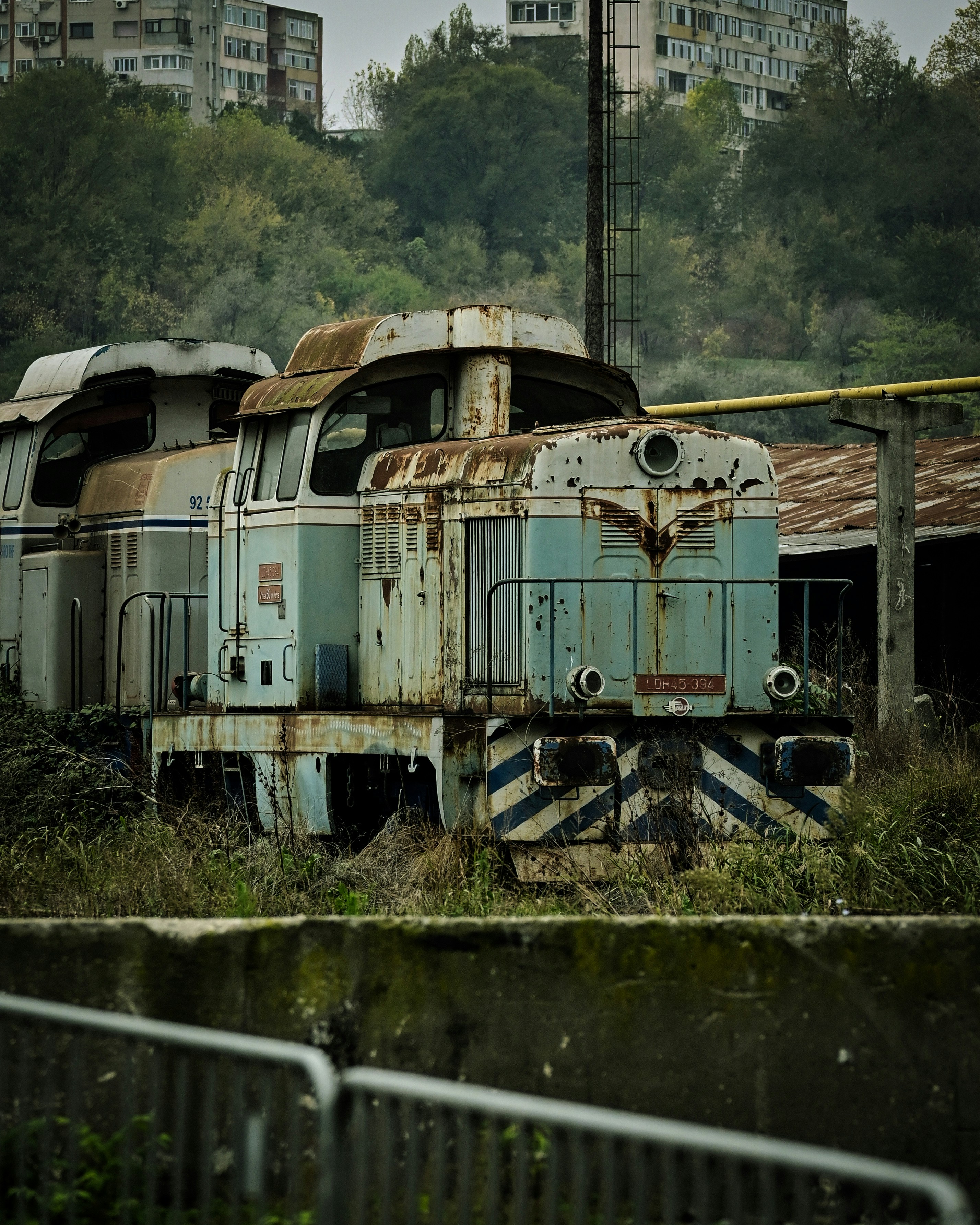 Rusting Workhorses on a Quiet Rail Yard