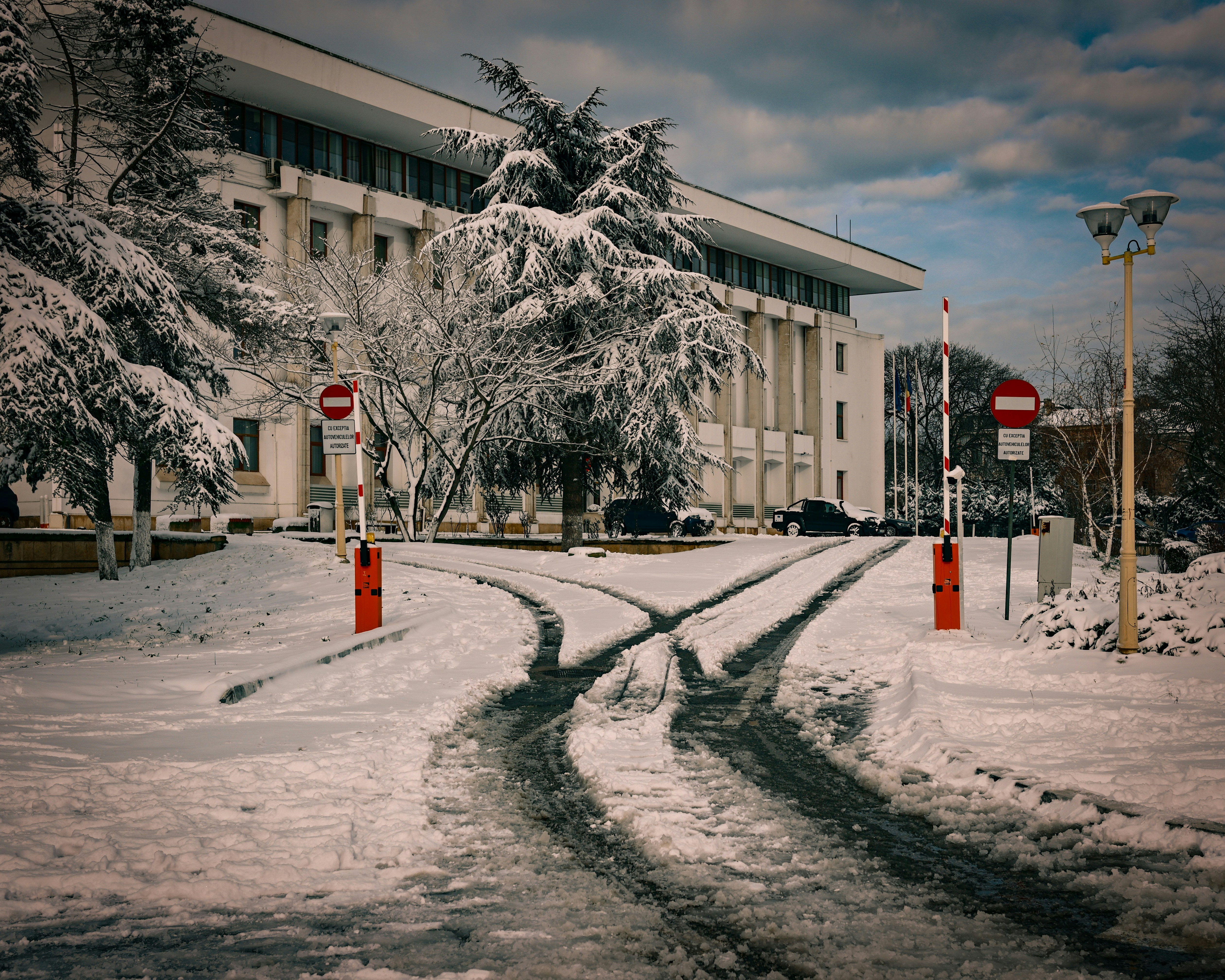 Snow-Covered Campus Road Framed by Frosted Trees