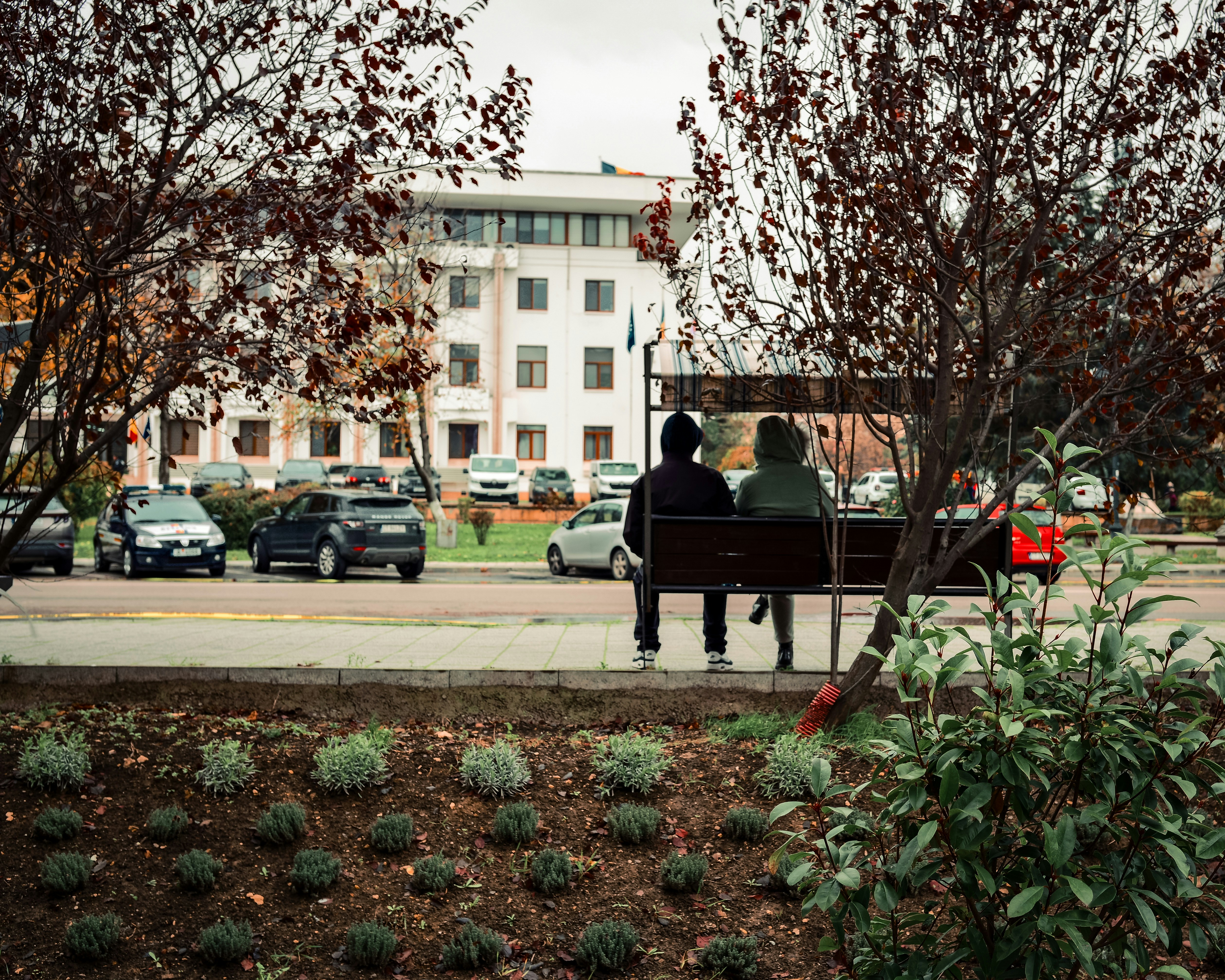 Two Figures on a Bench, Campus Lawn in Autumn