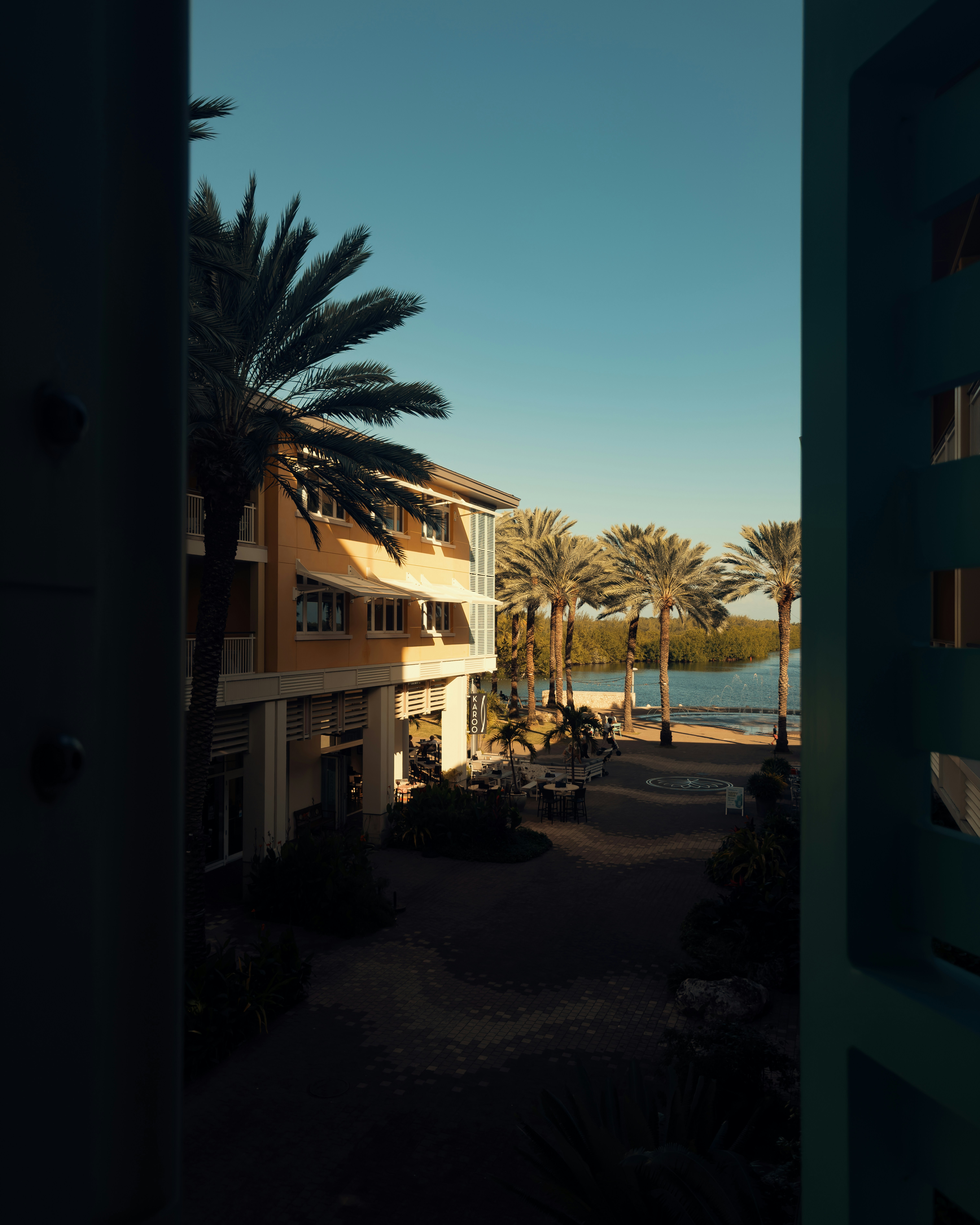 Quiet Coastal Courtyard Framed by Palm Shadows