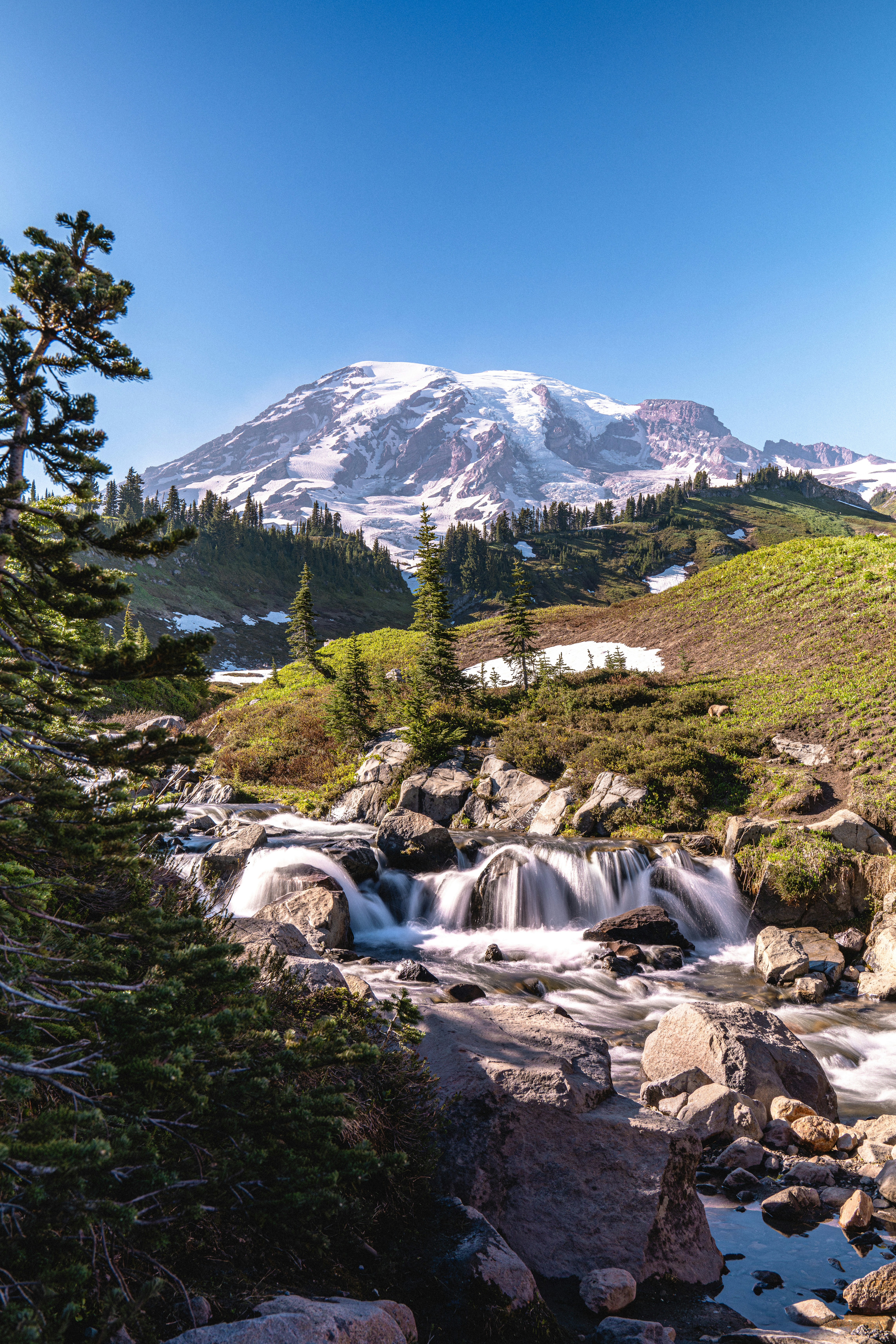 Snow-capped Peak Rising Above a Green Cascade