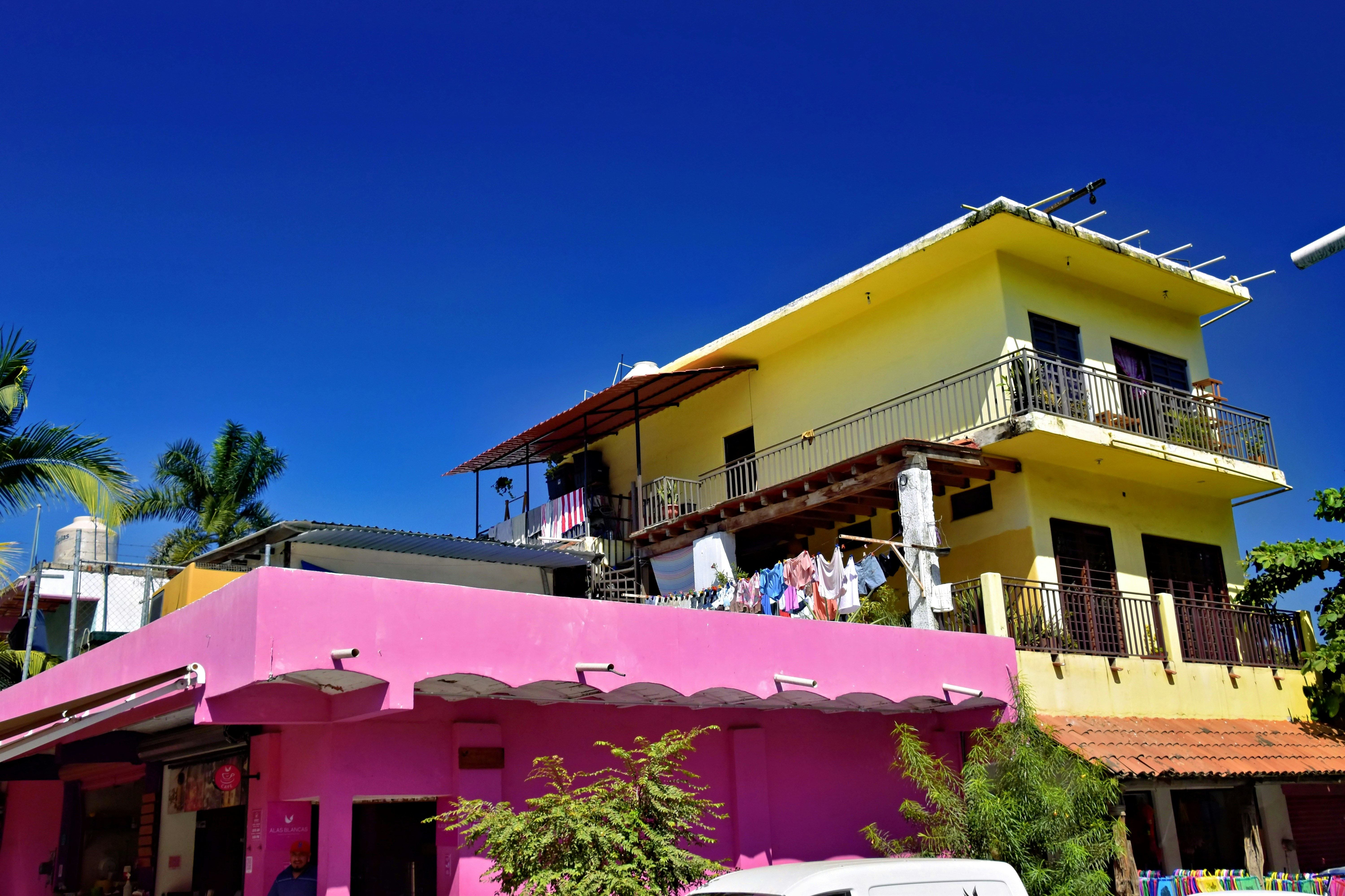 Sunny Pink and Yellow Terrace Oasis