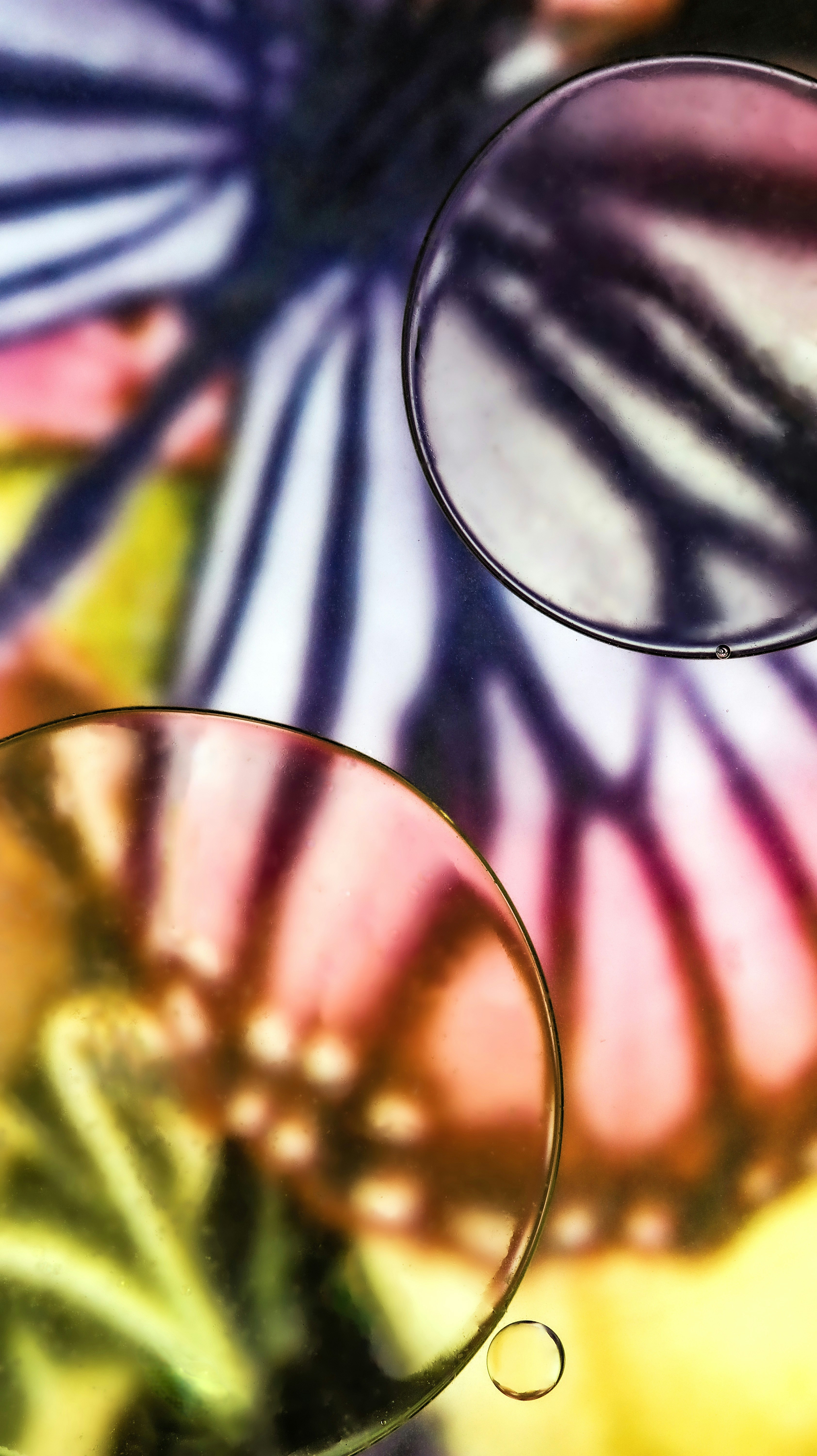 Abstract Bubbles Over a Colorful Floral Backdrop
