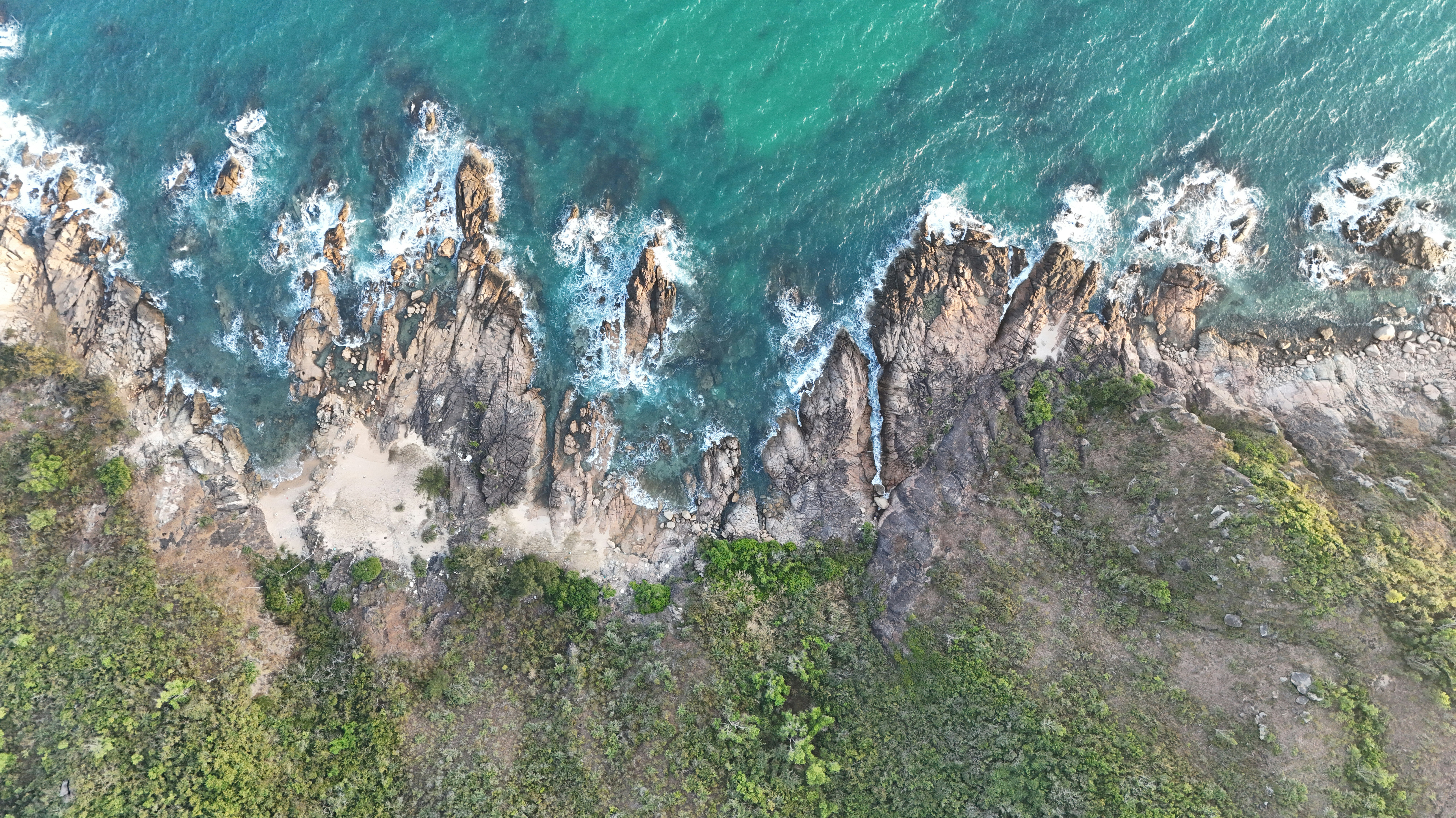 Cliffside Territory: Turquoise Waves Meet Verdant Shore