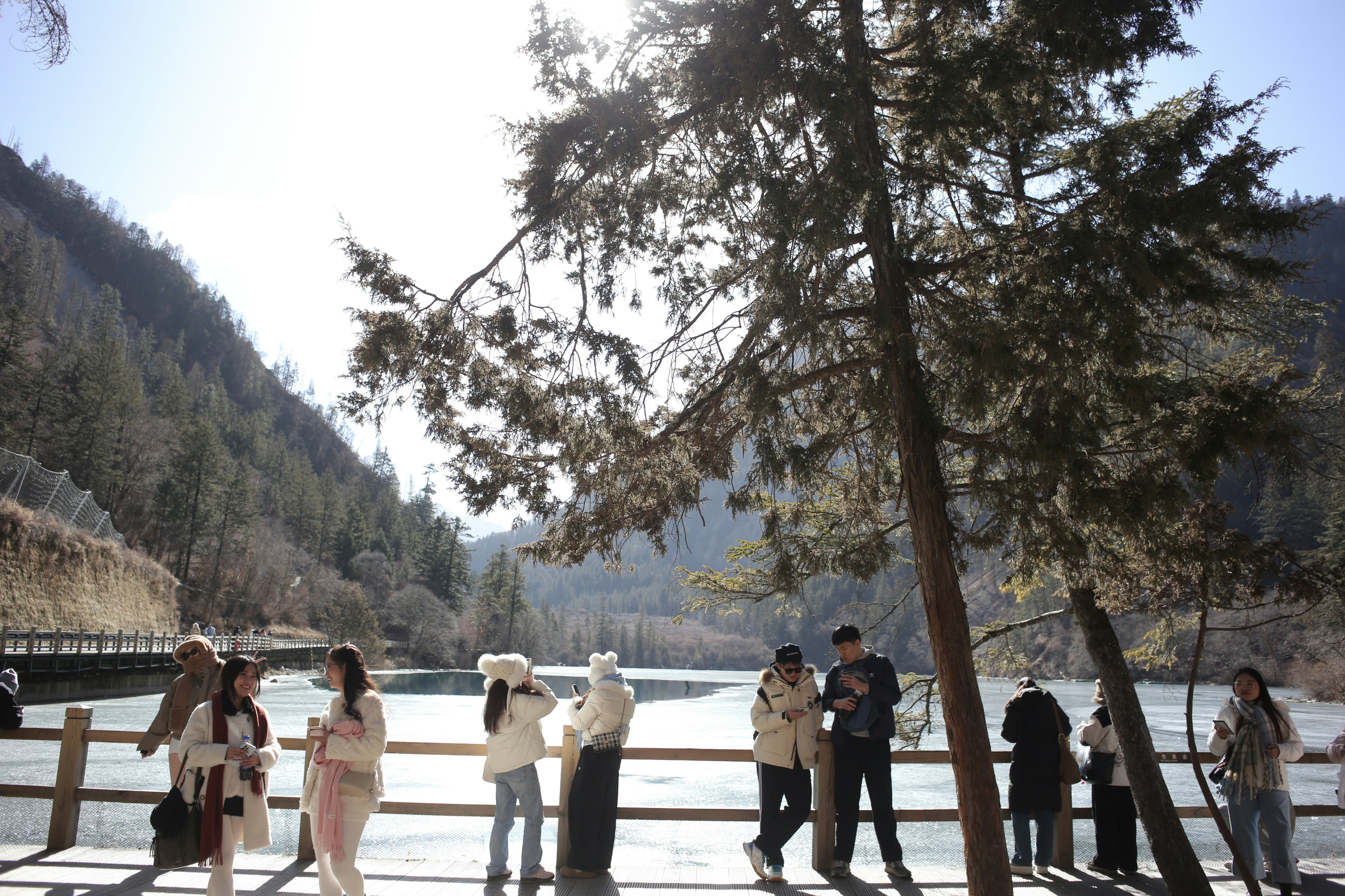 Friends pause by a sunlit lakeside boardwalk beneath tall pines