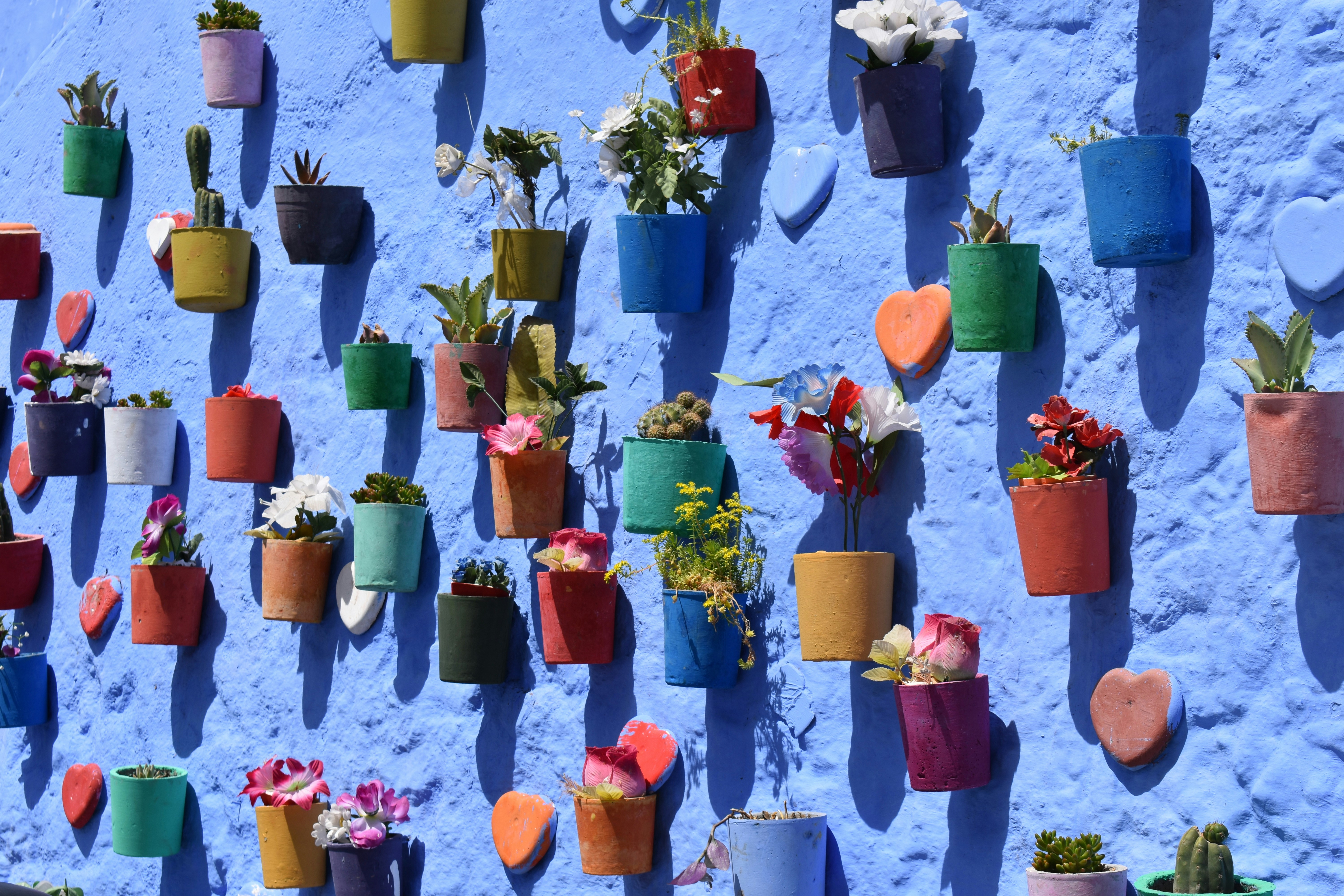 A Rainbow of Pots on a Sunny Blue Wall