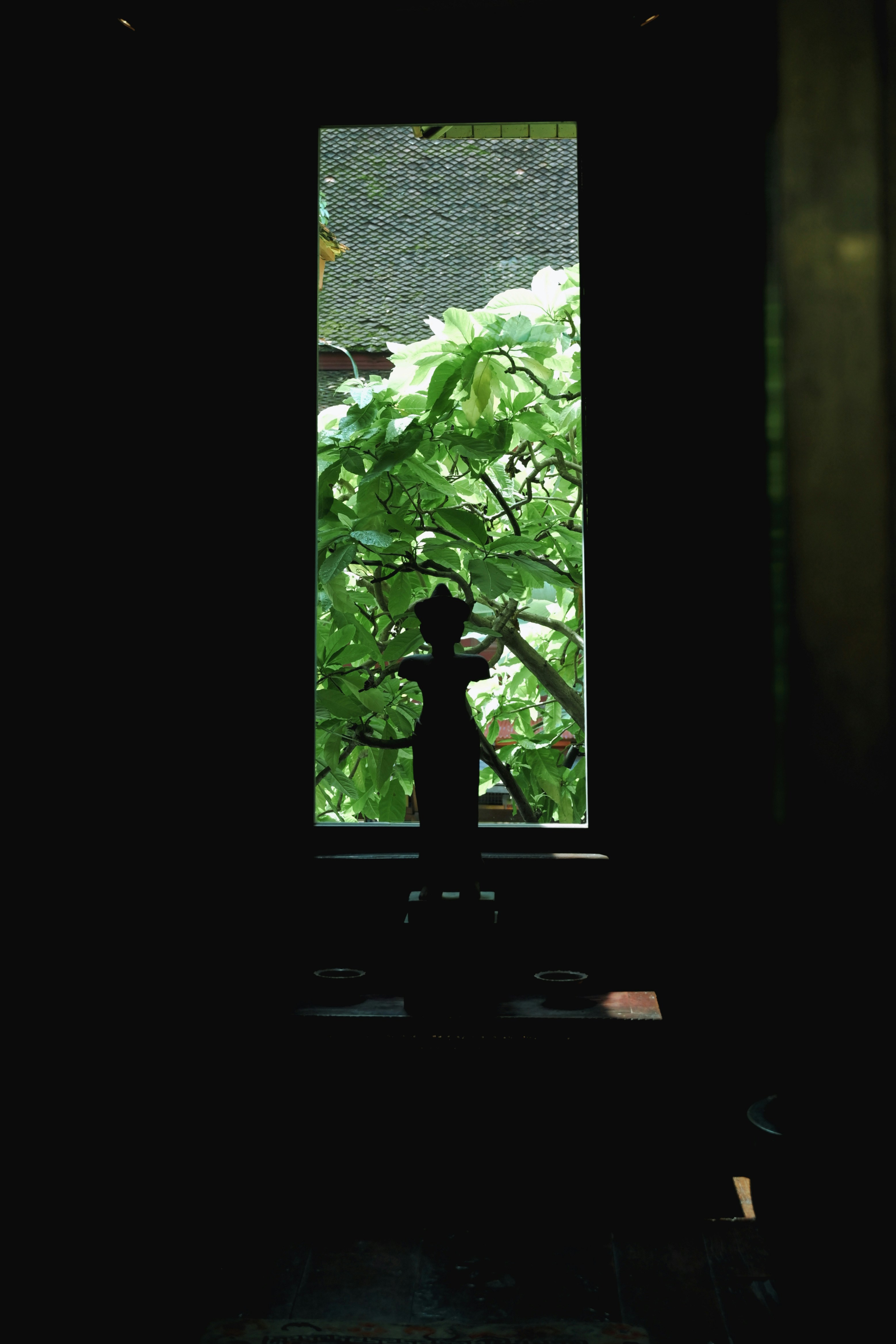 Silhouette in a Narrow Window: Green Vines Framing a Quiet Scene