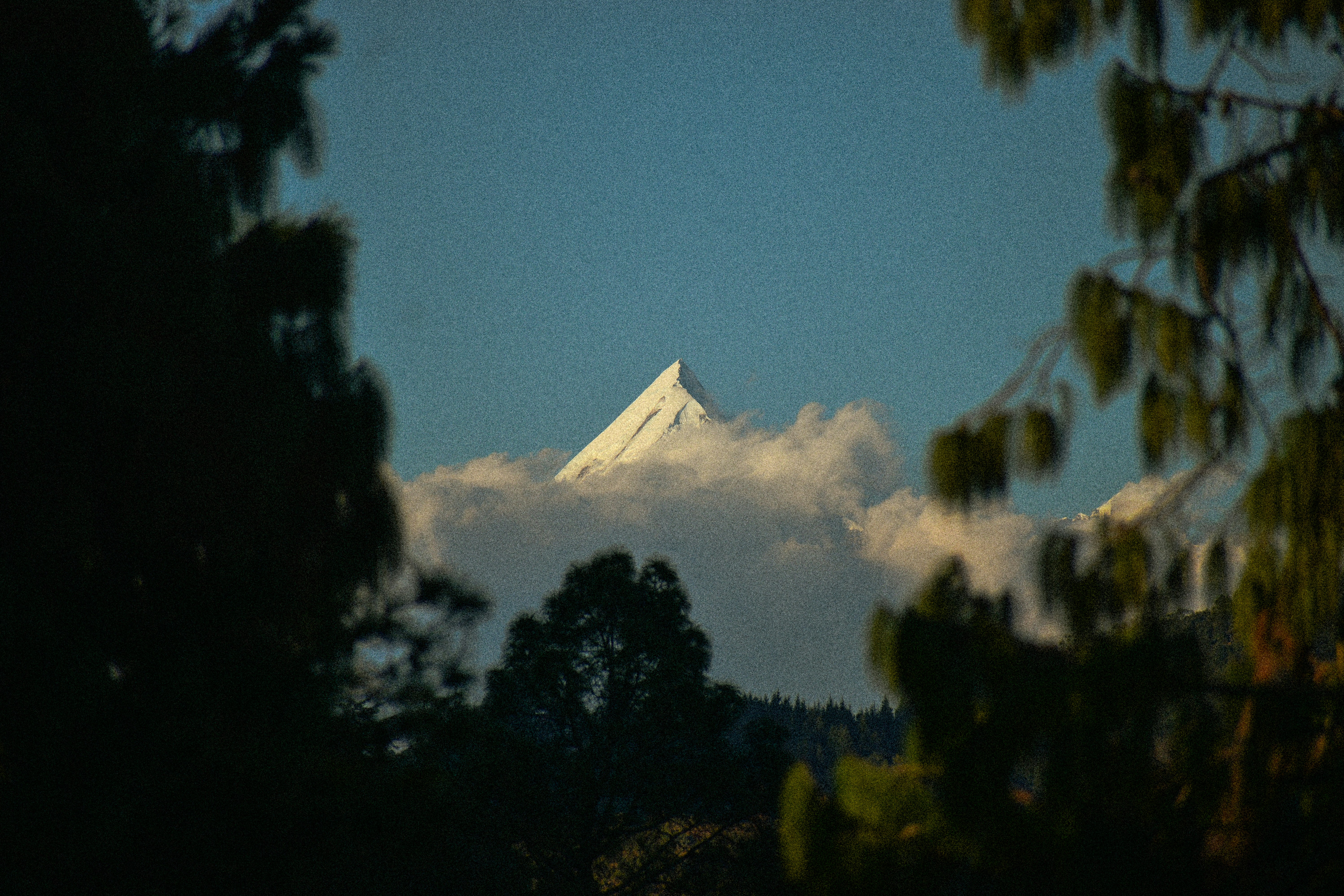 Peak Piercing Through Clouds: Snow-Capped Summit Above a Forest Rim