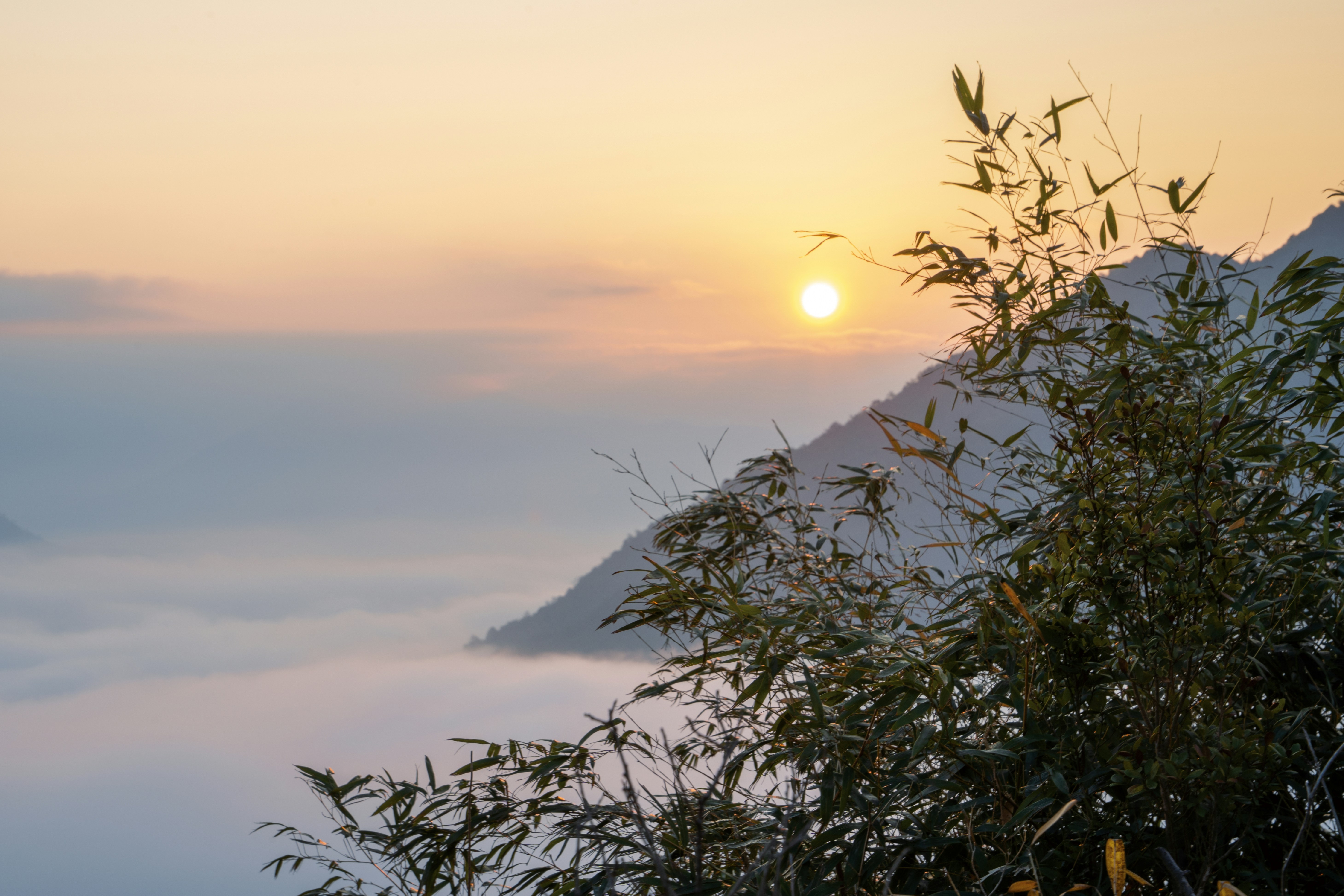 Sunrise Over Misty Ridge Framing a Wreath of Leaves