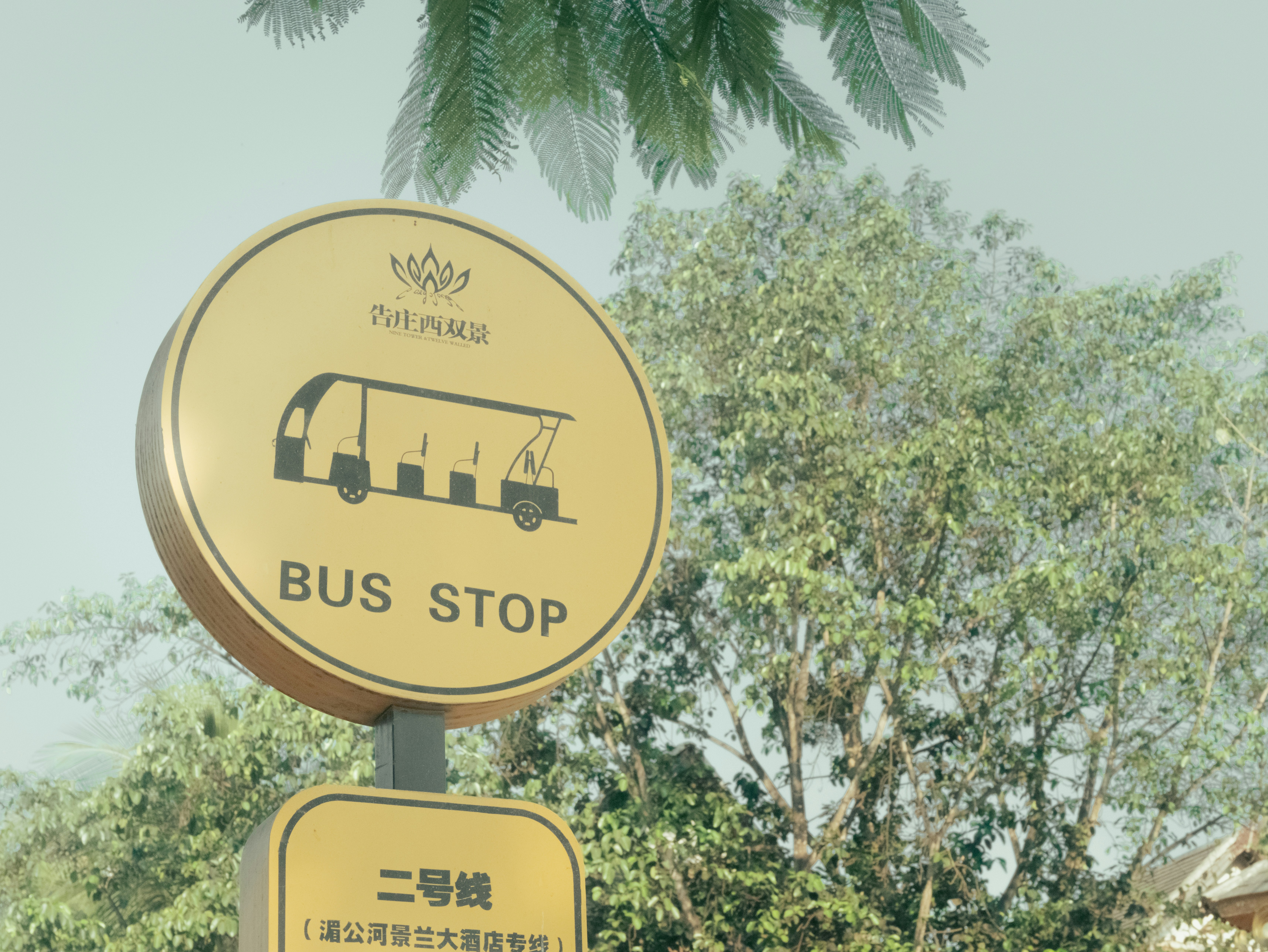 Yellow Bus Stop Sign Under Green Canopy