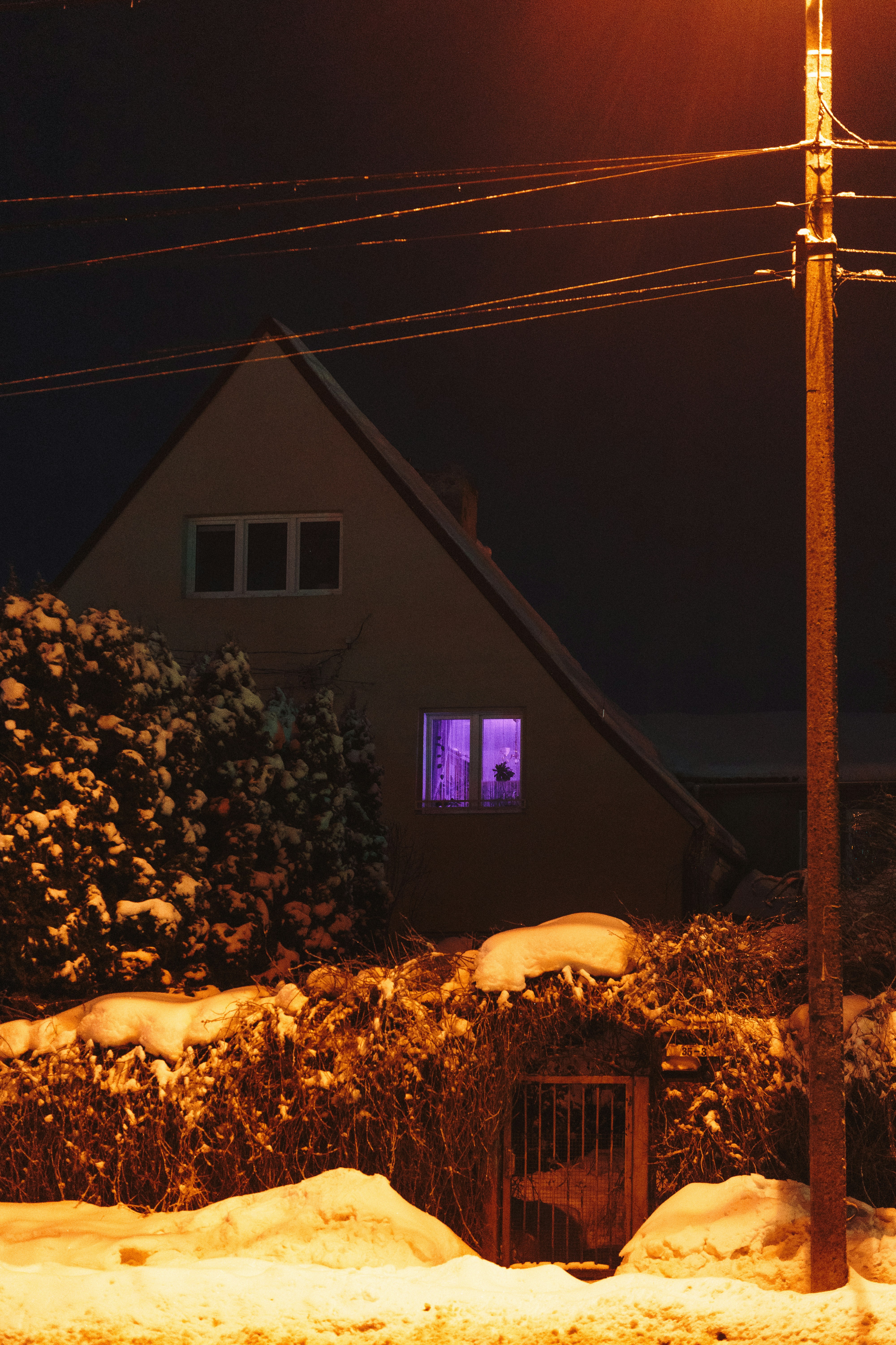 Night Snow in a Quiet Suburban Frame