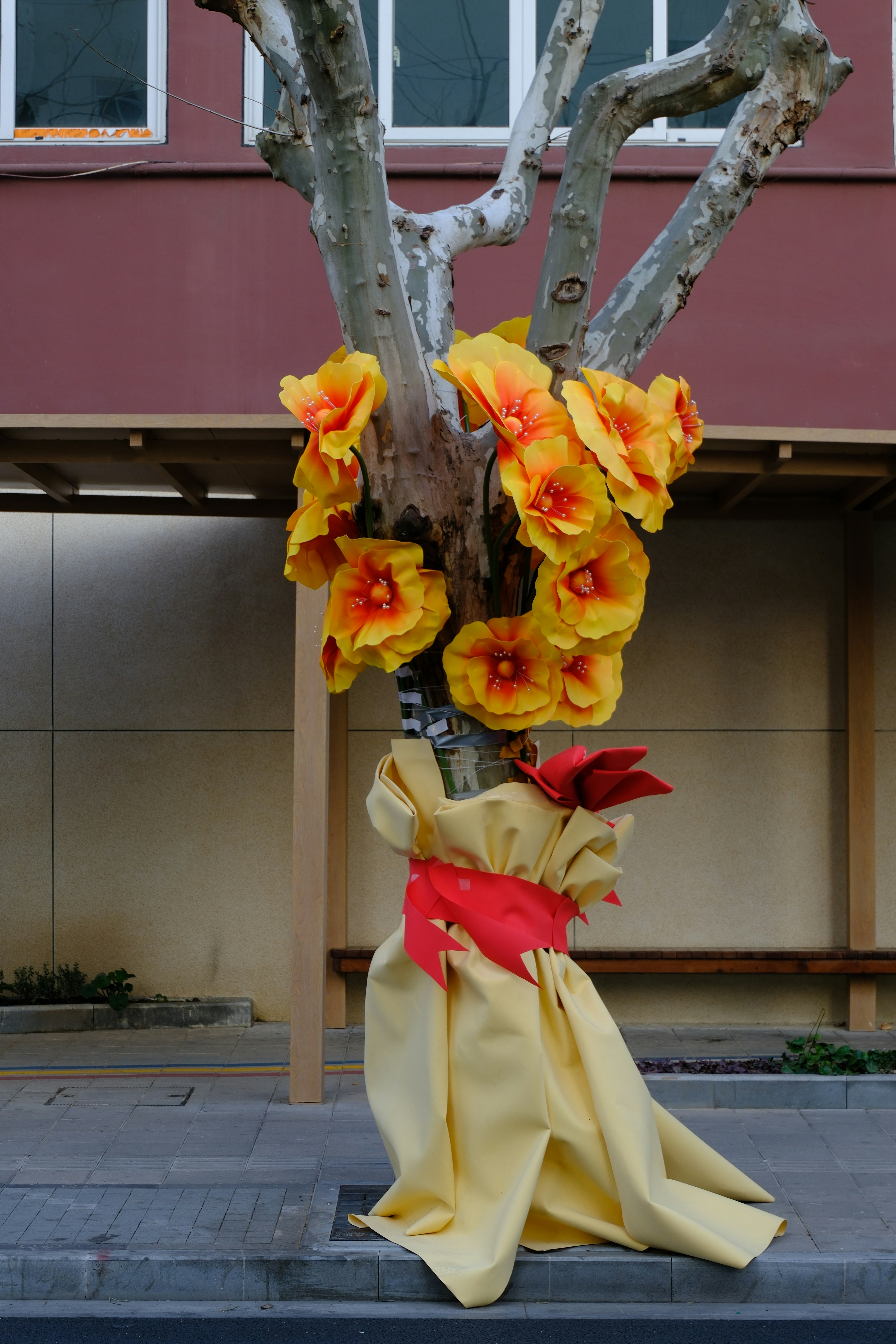 Floral Crowned Tree Guarded by Bright Amaryllis on City Street