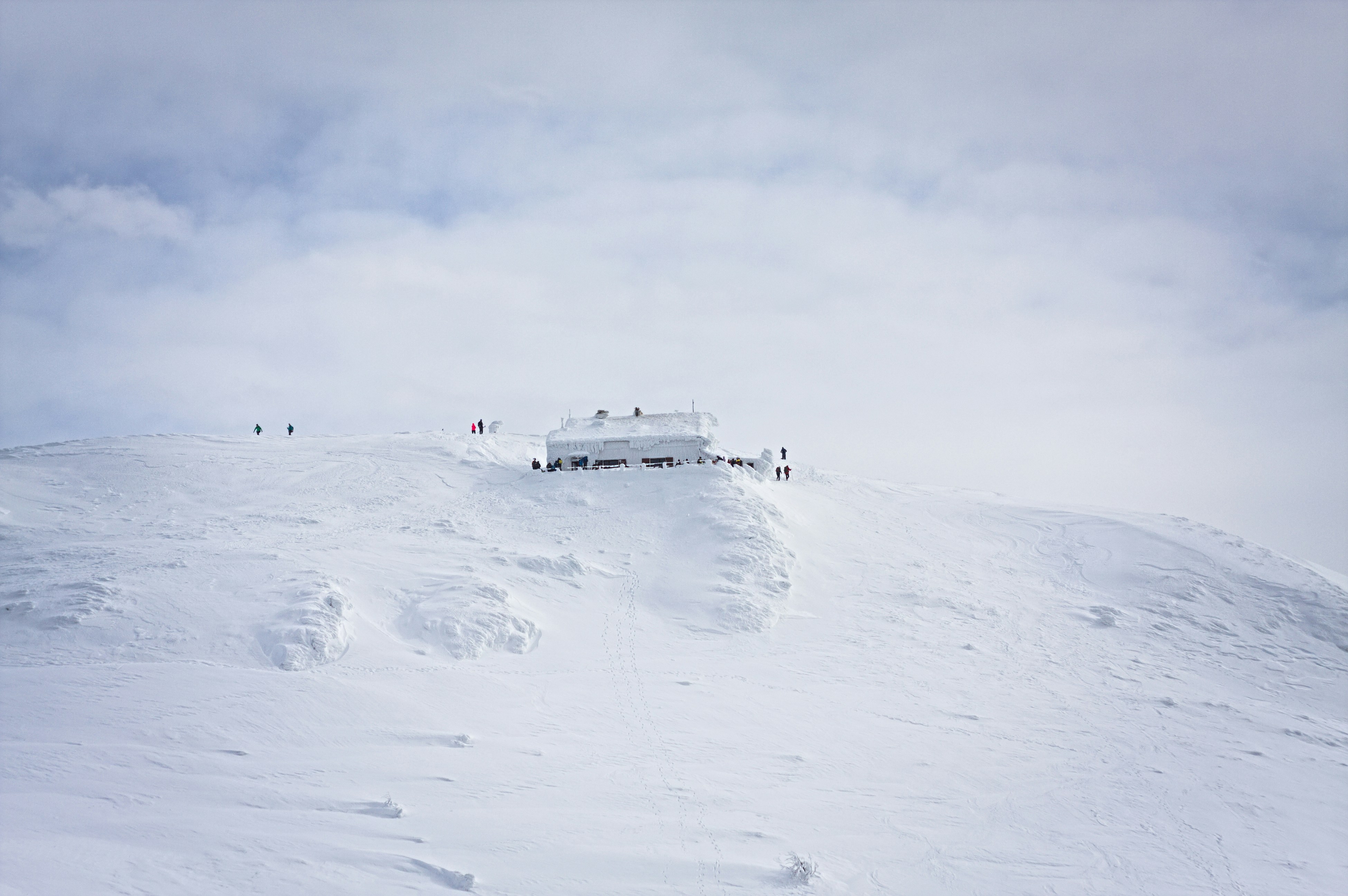 Snowbound Overlook: A Crest of Silence