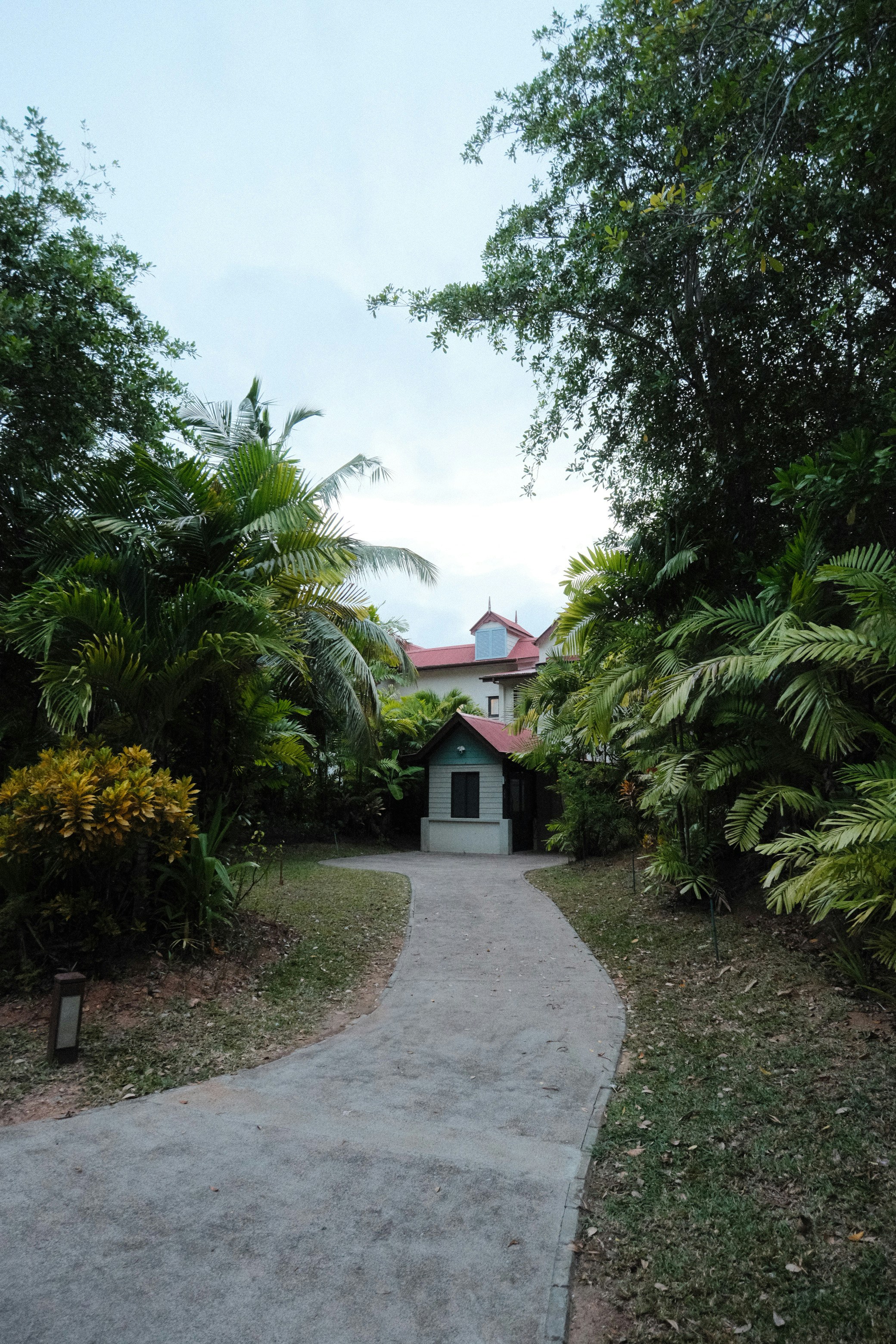 Path to the Hidden House in the Green Corridor