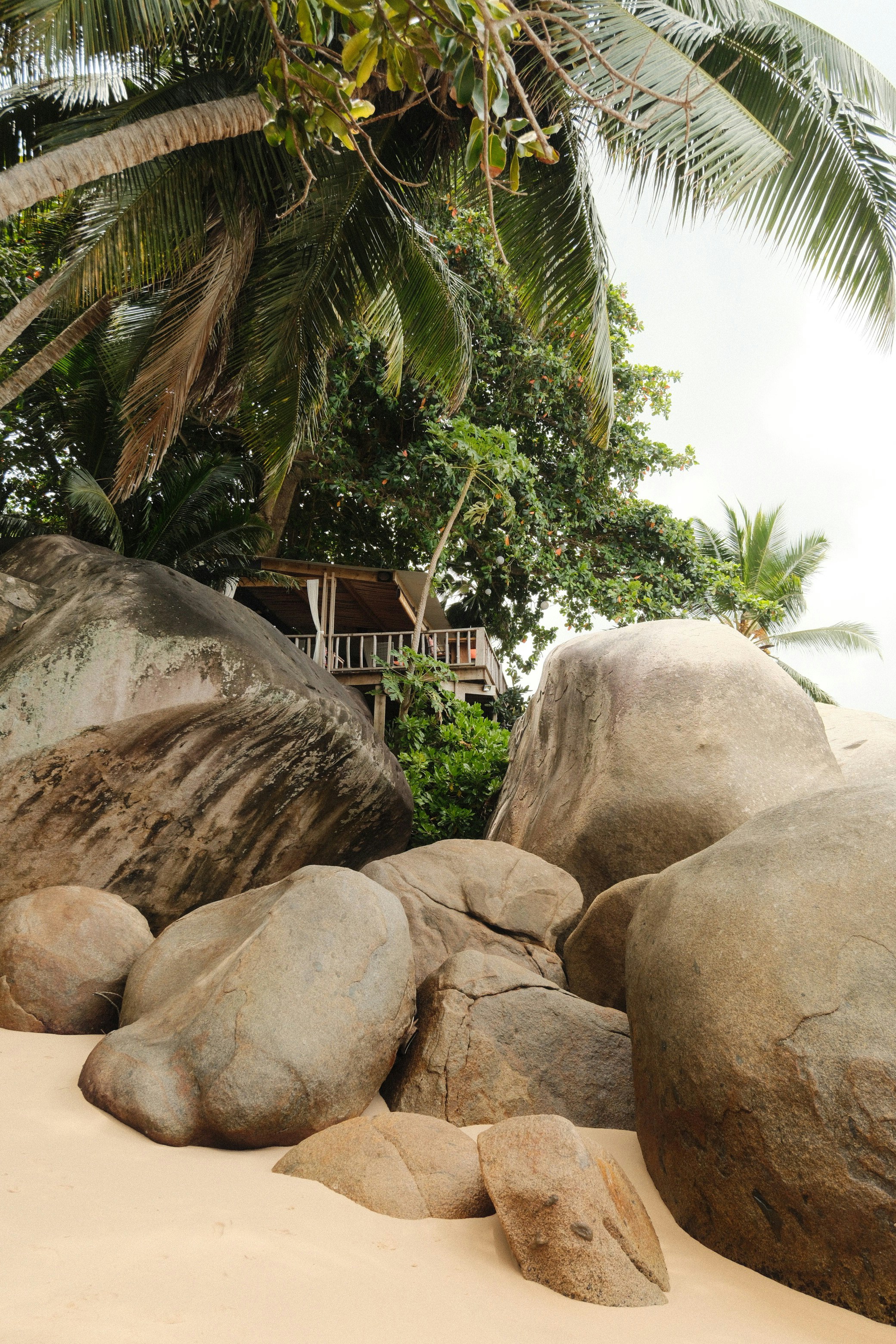 Hidden Terrace Among Giant Boulders on a Tropical Shore
