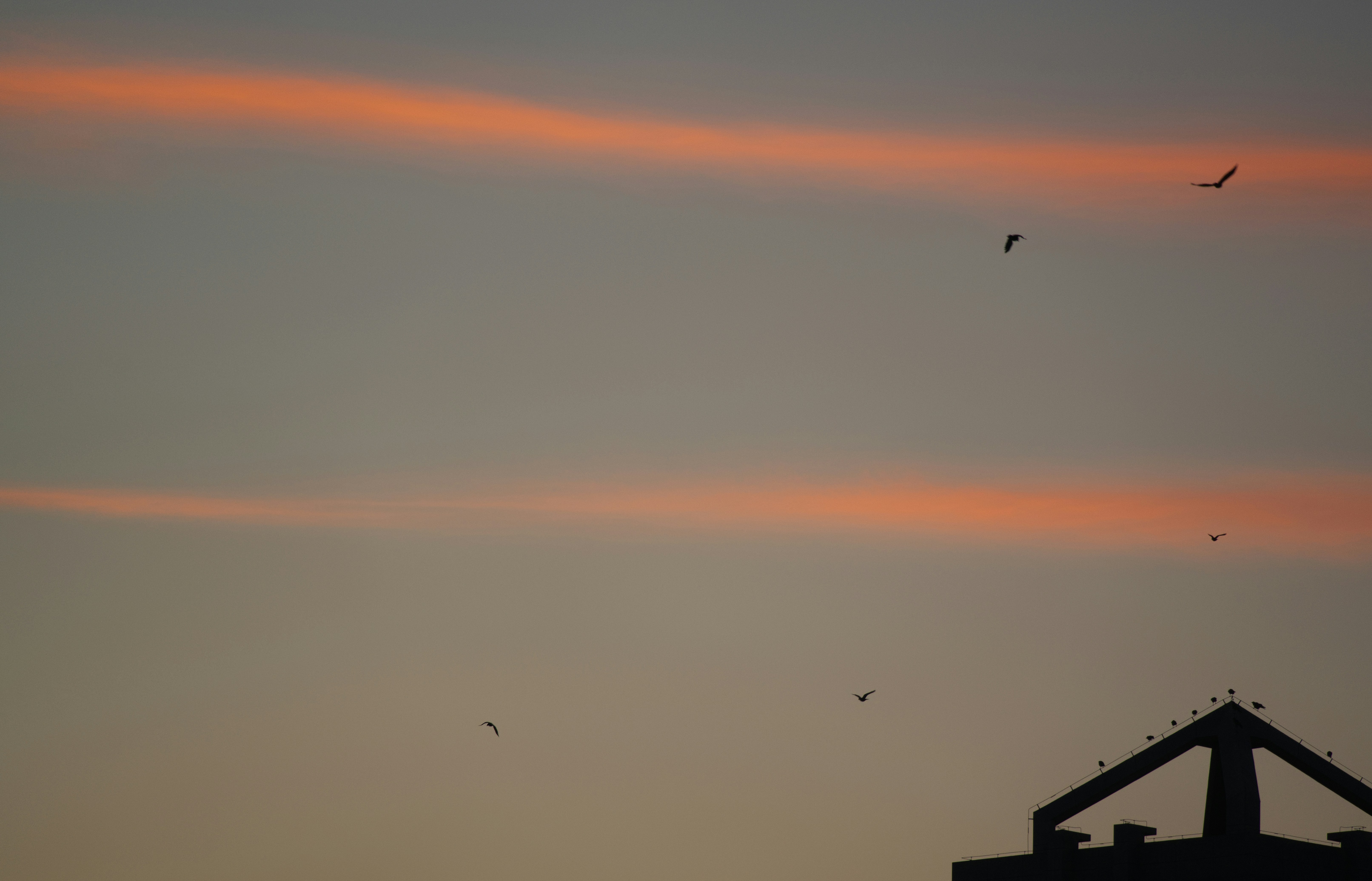 Silent Sunset Over a Rooftop Silhouette