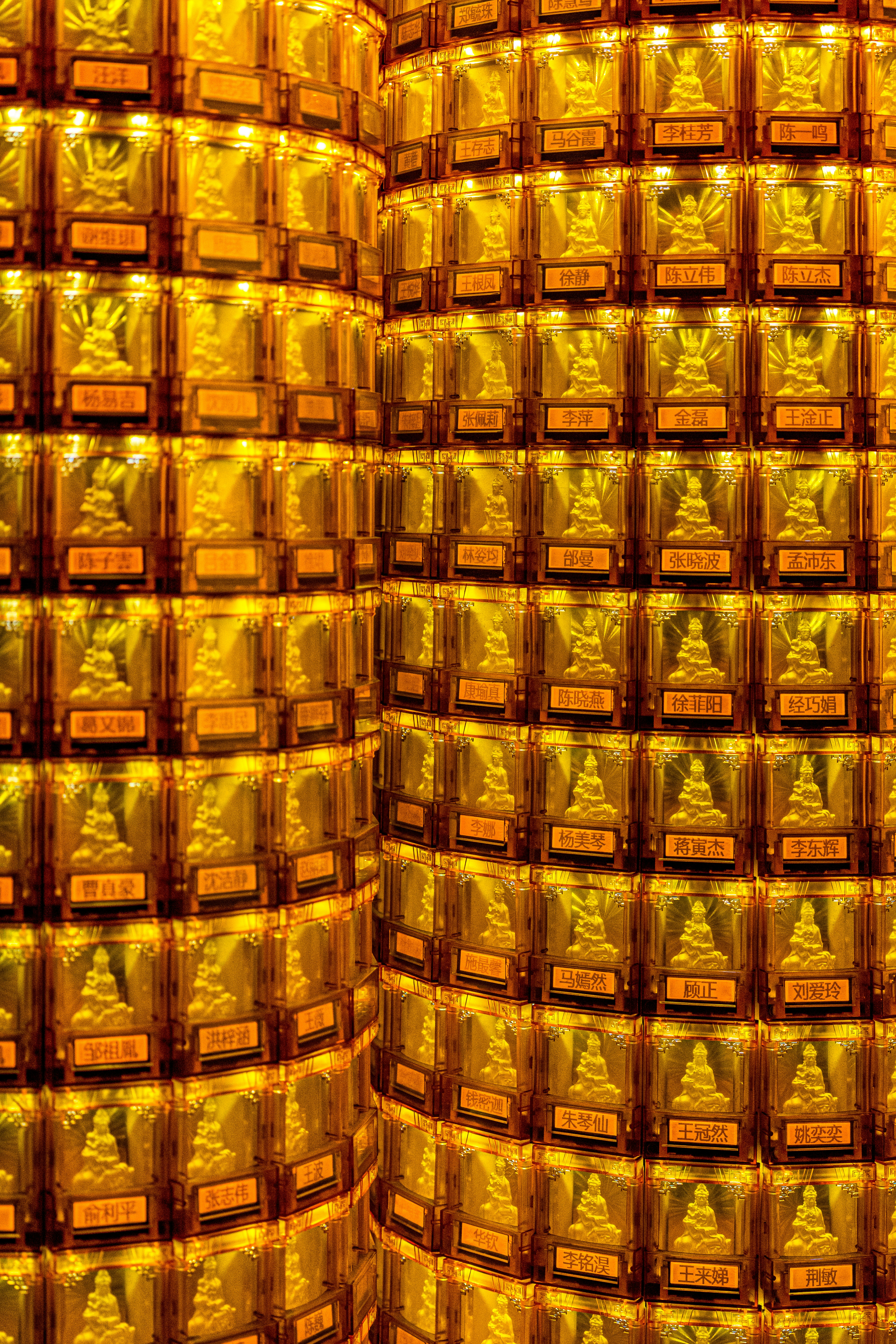 Golden Bottled Echoes: A Wall of Shiny Labels