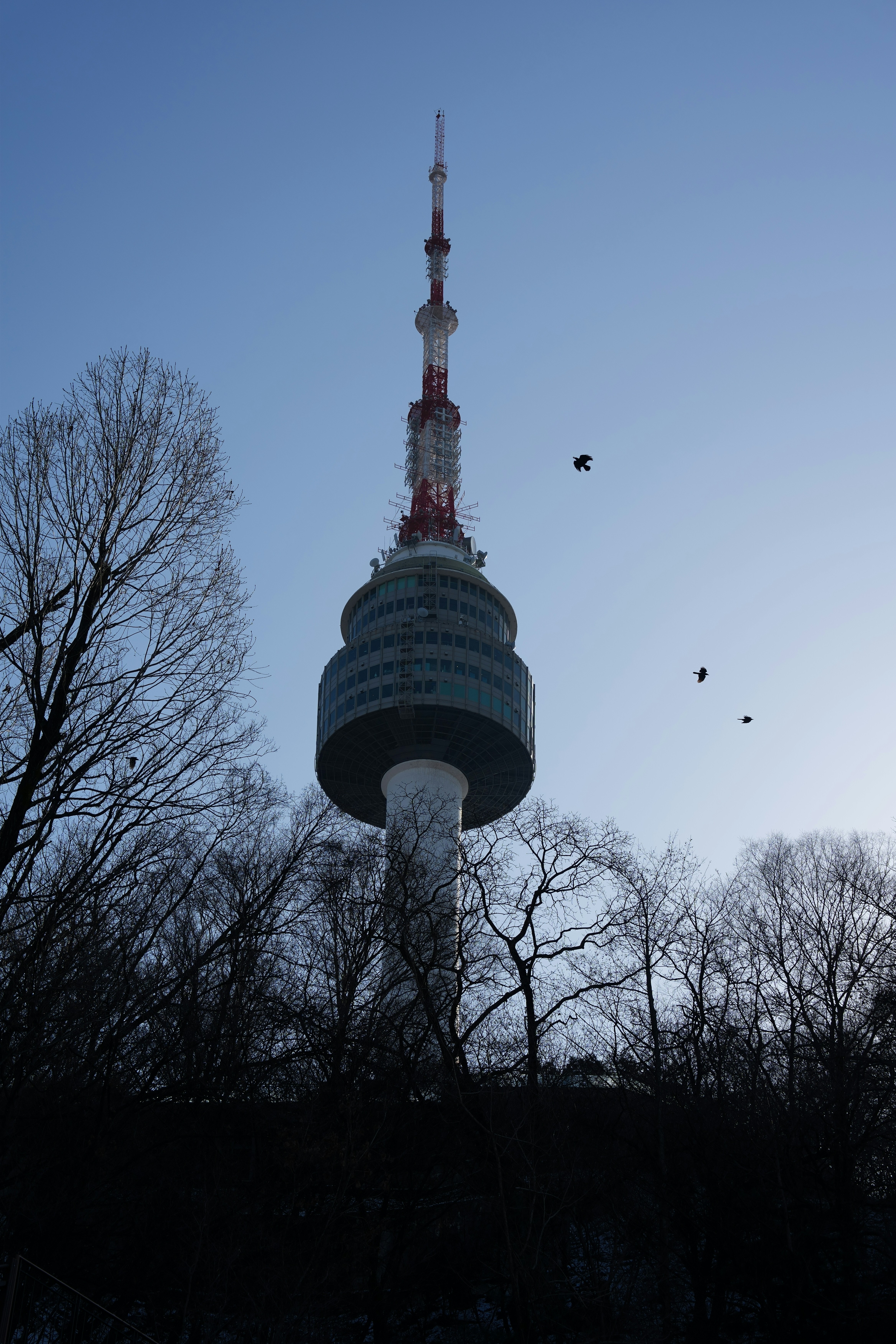 Tower of Silence: A City Spire Reaching Toward the Sky