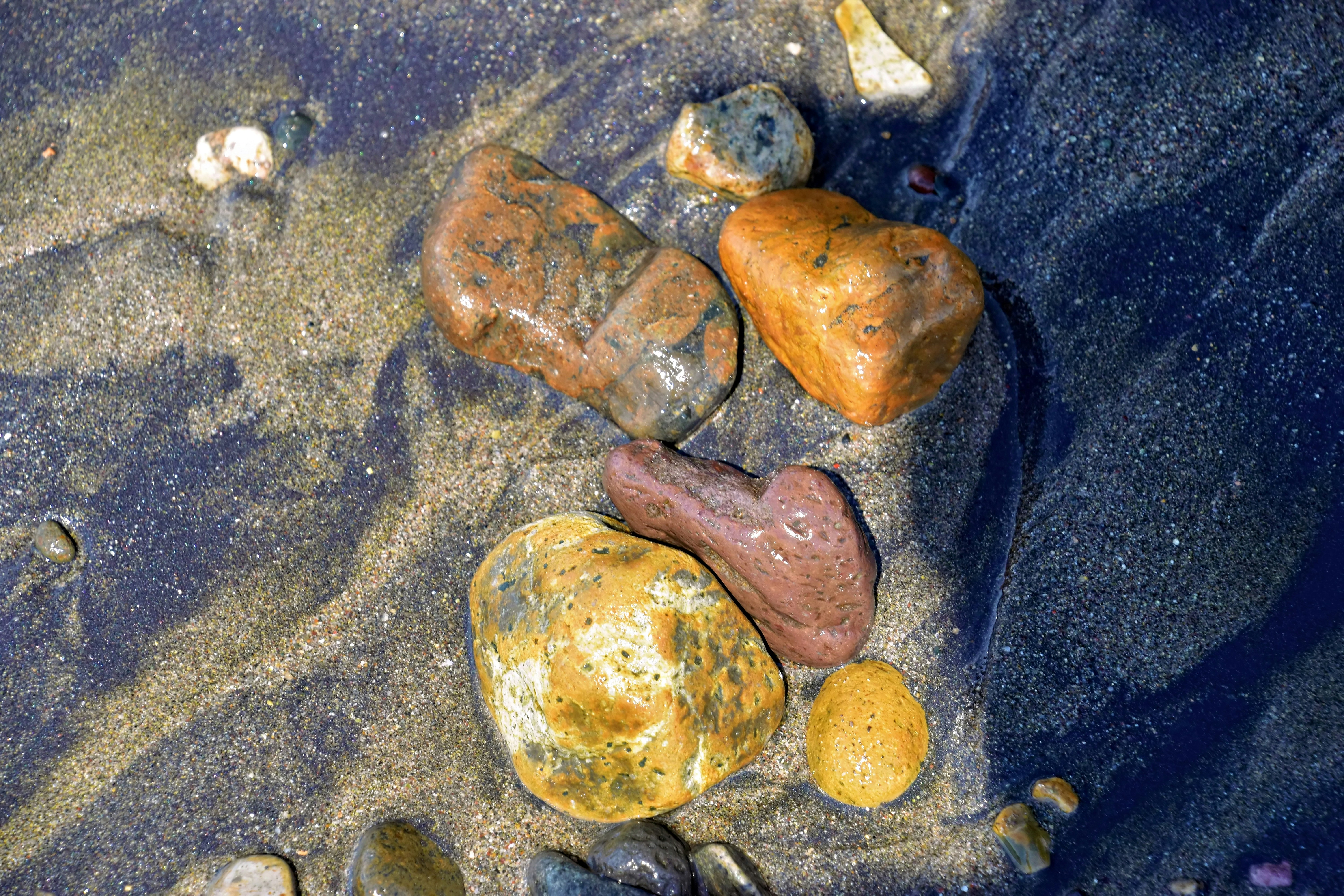 Pebble Mosaic on Sunlit Sand