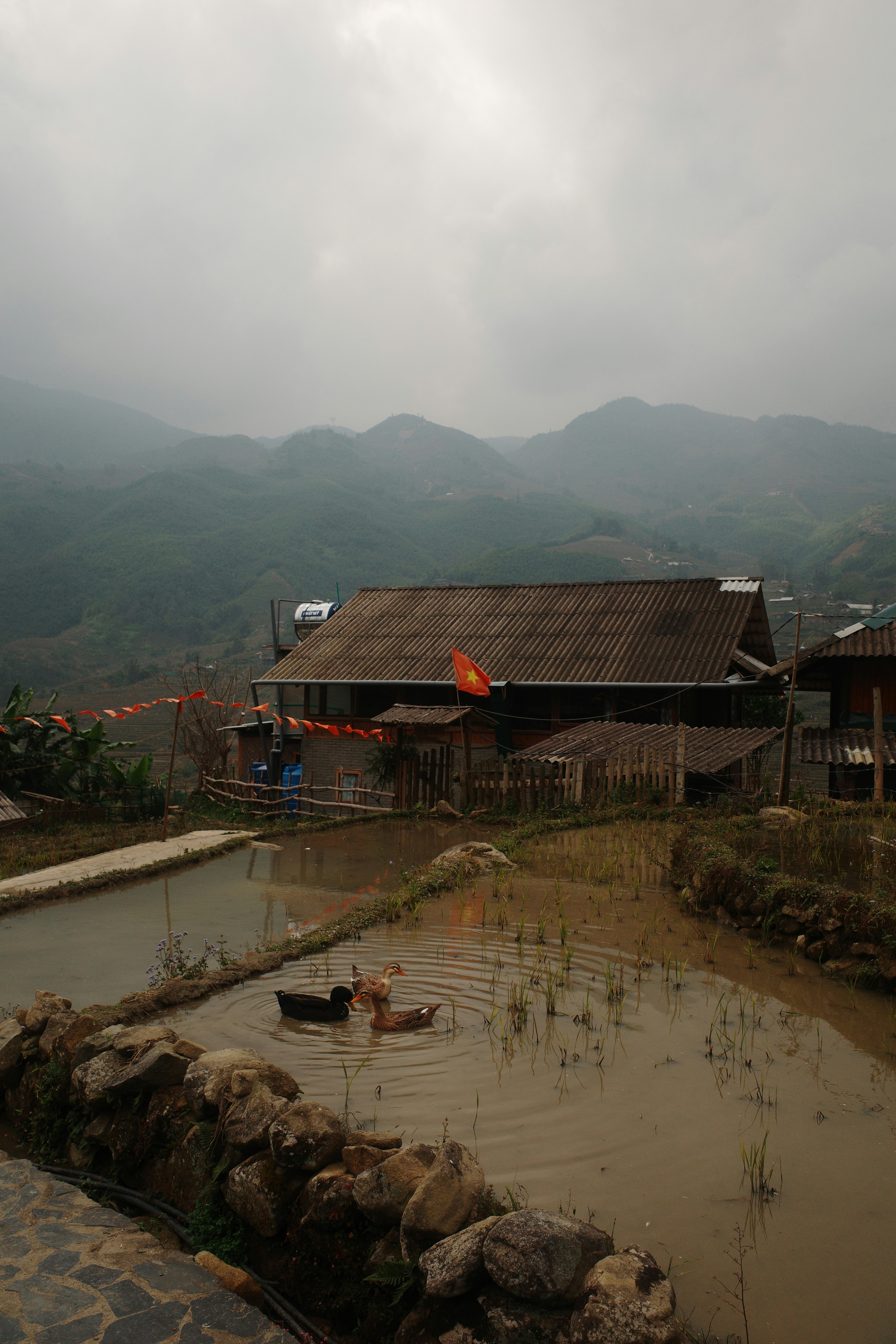 Terraced Village at Dusk: A Quiet Scene with Water and Hills
