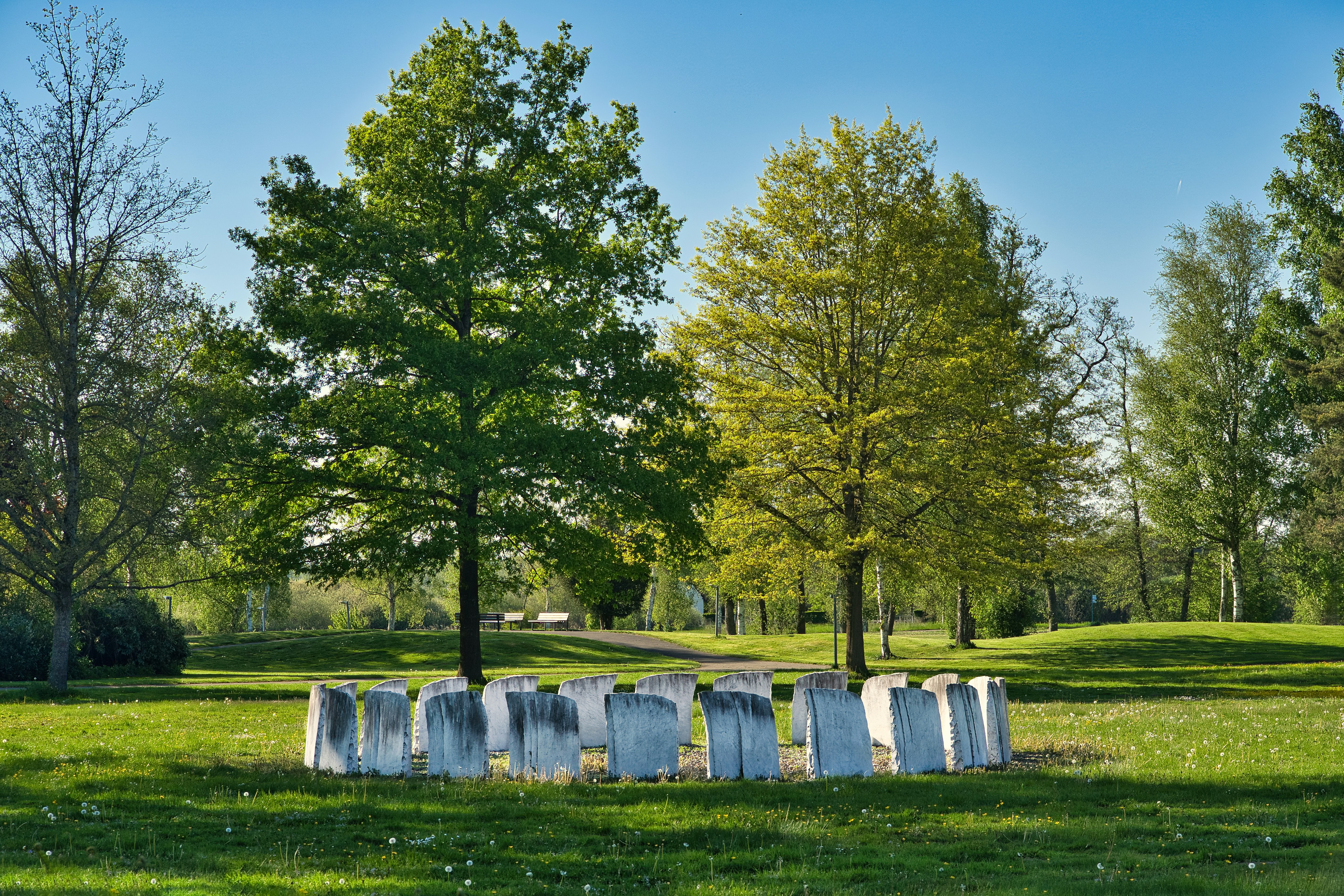 Circle of Stones Under a Spring Canopy